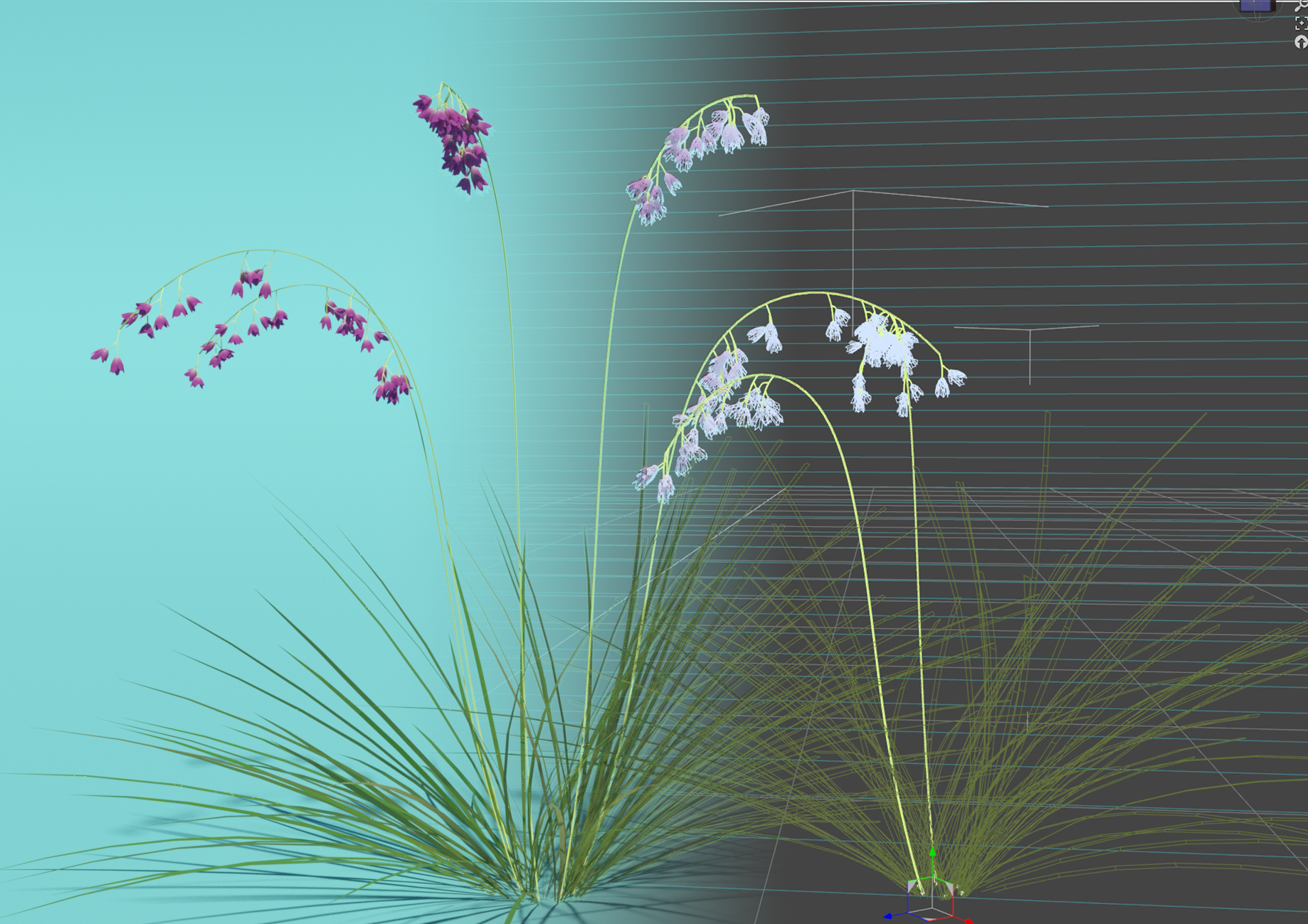 Cottage Garden Flowers - Angels Fishing Rods | Daz 3D