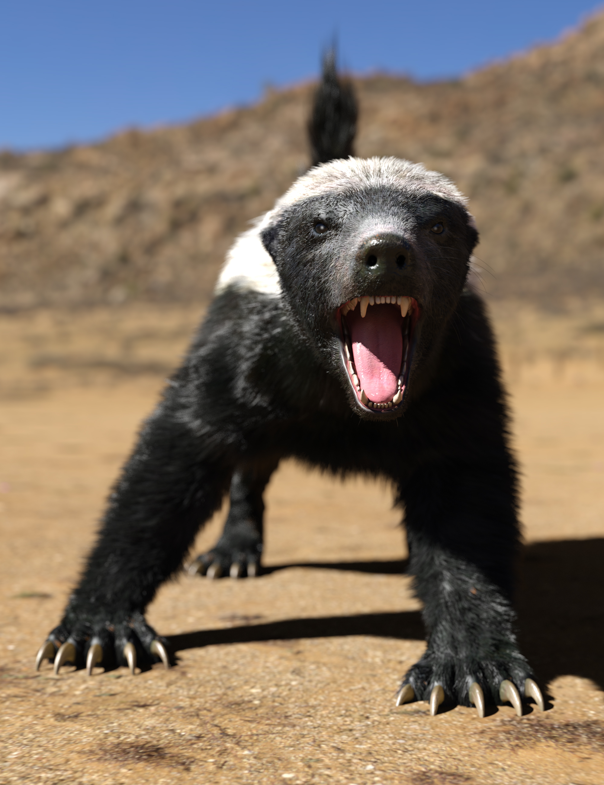 Honey Badger by AM | Daz 3D