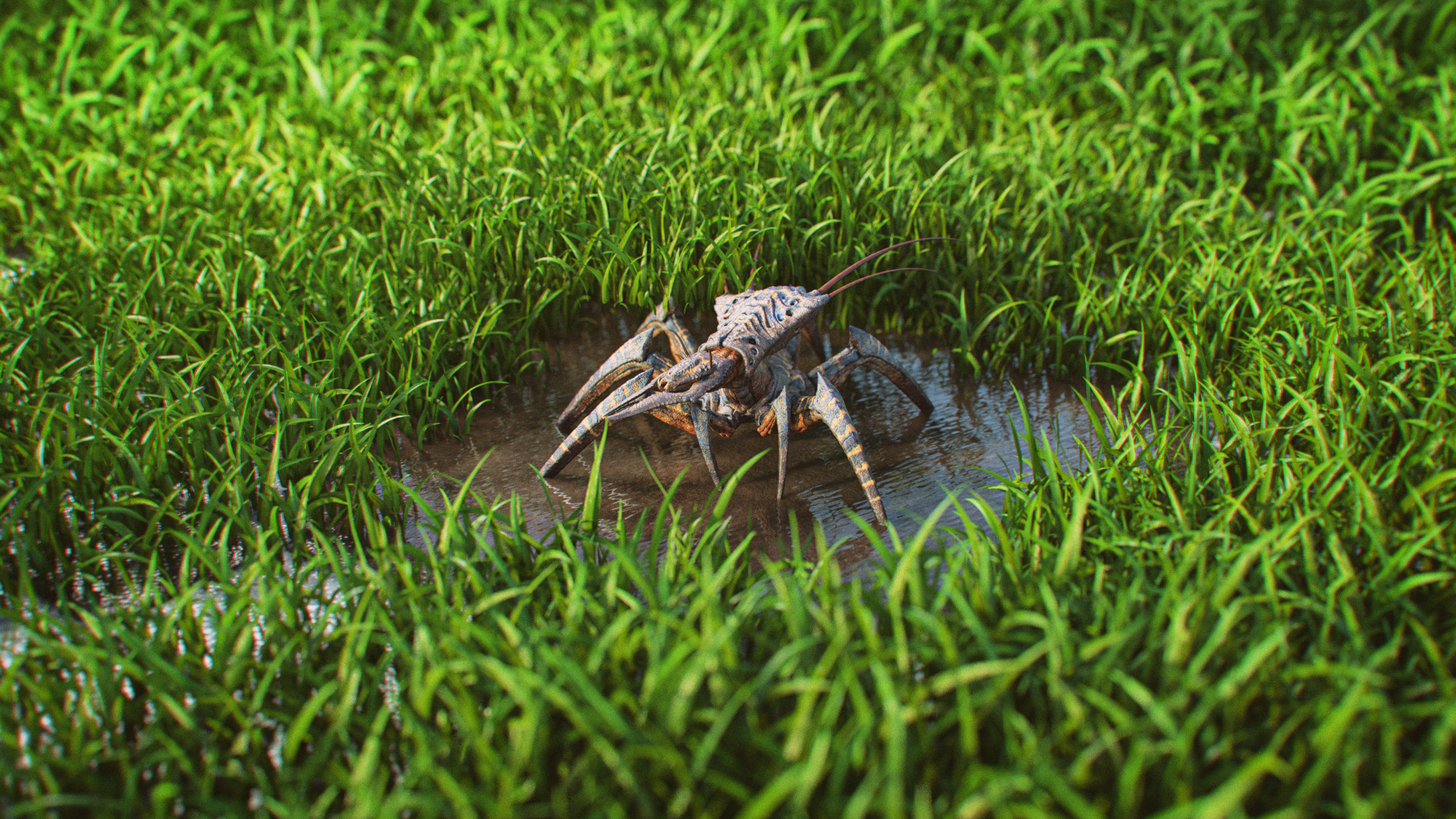 LI Elemental Dynamics - Grass Patches | Daz 3D