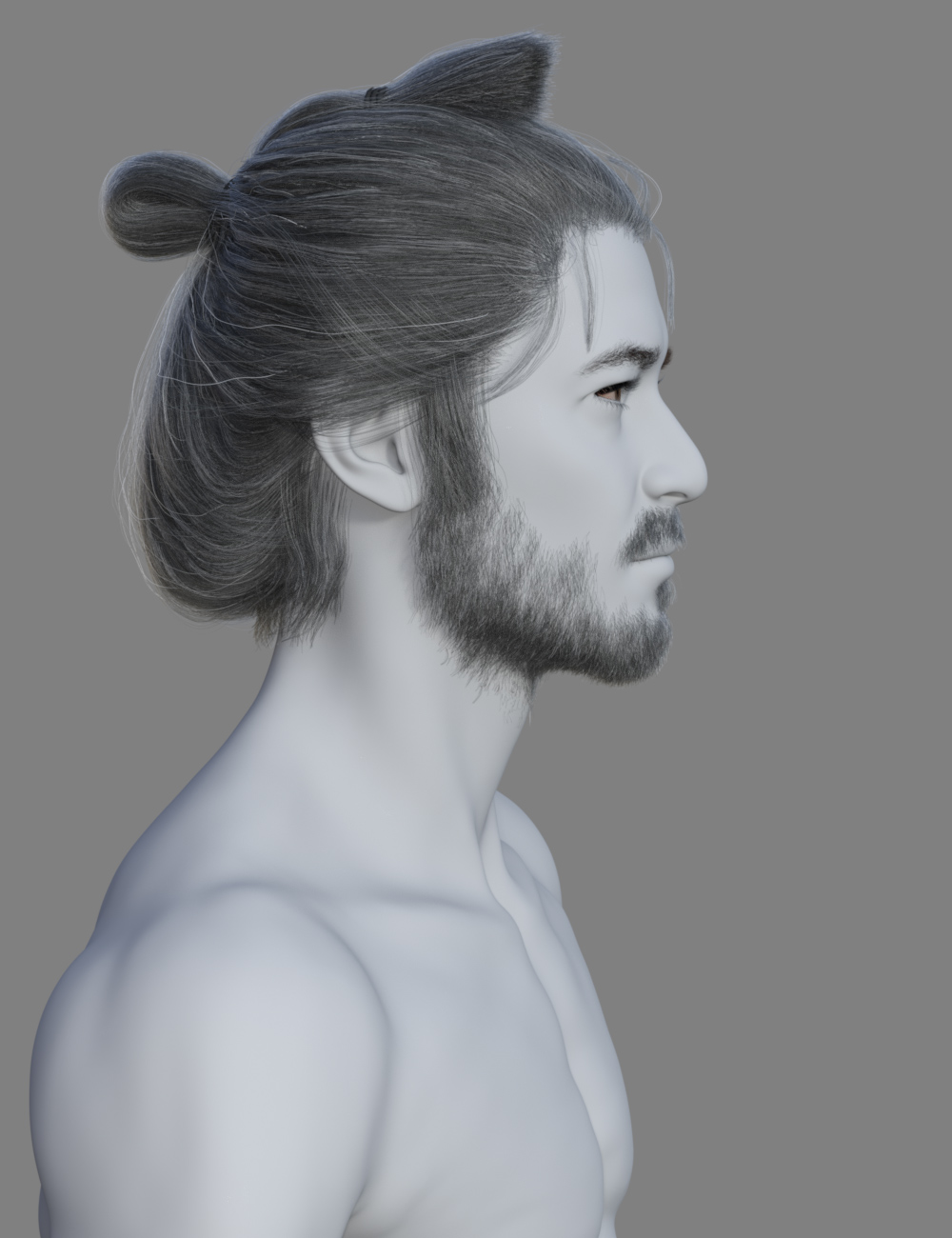 Toshi Hair And Beard for Genesis 9 | Daz 3D