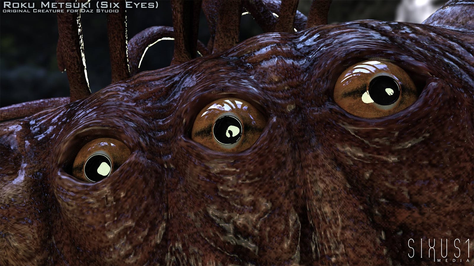 Roku Metsuki For DS | Daz 3D