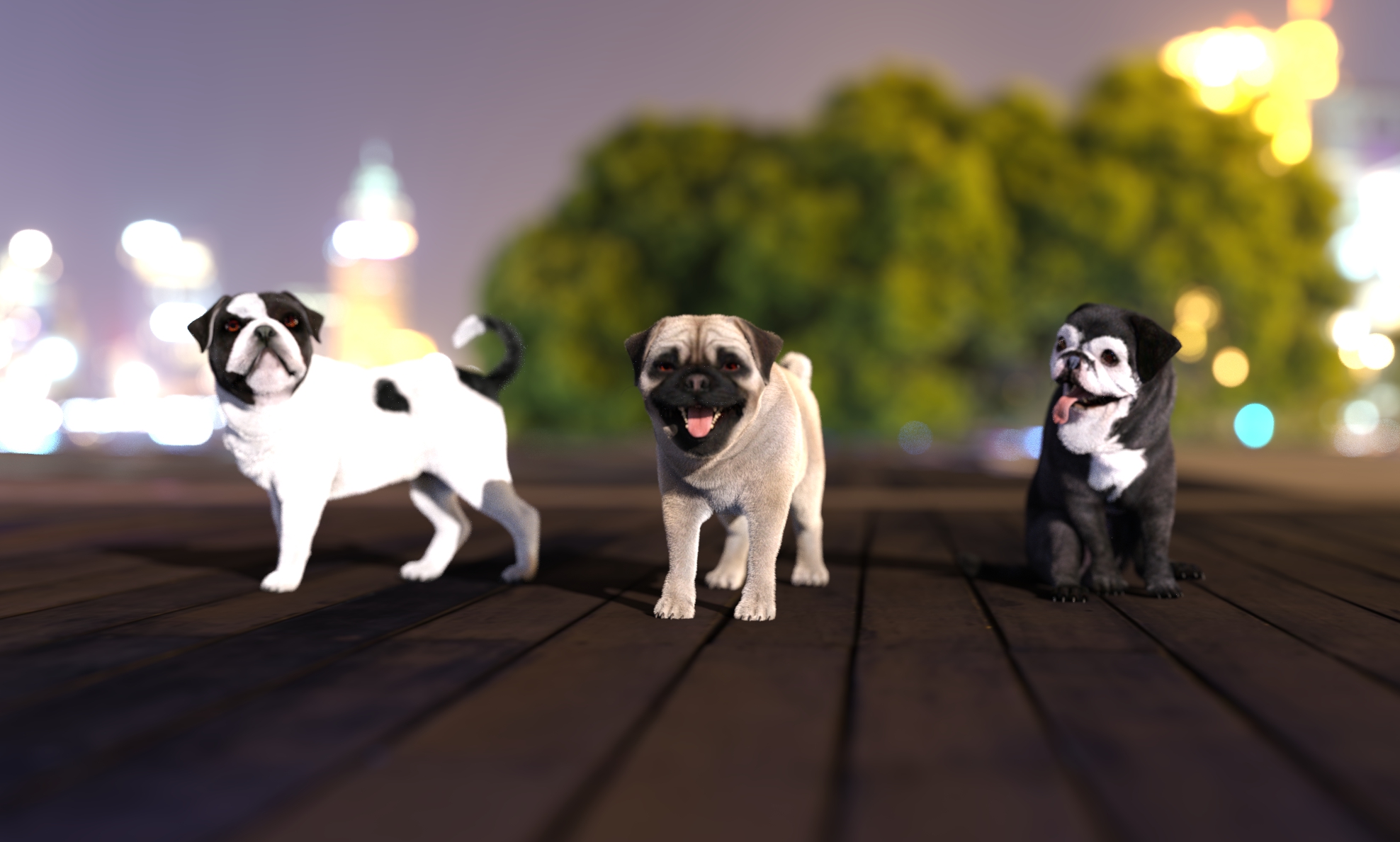 Pug for Daz Dog 8 | Daz 3D