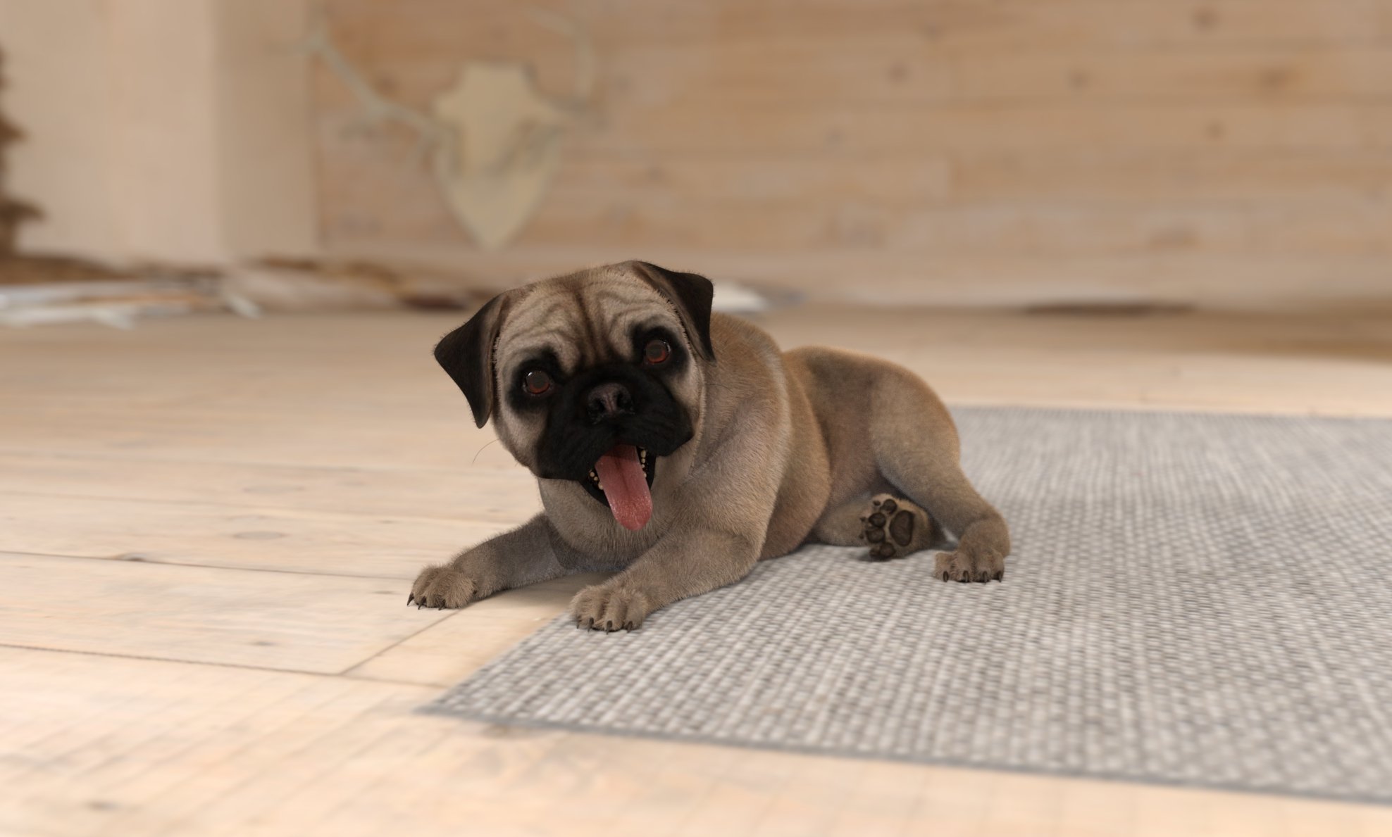 Pug for Daz Dog 8 | Daz 3D