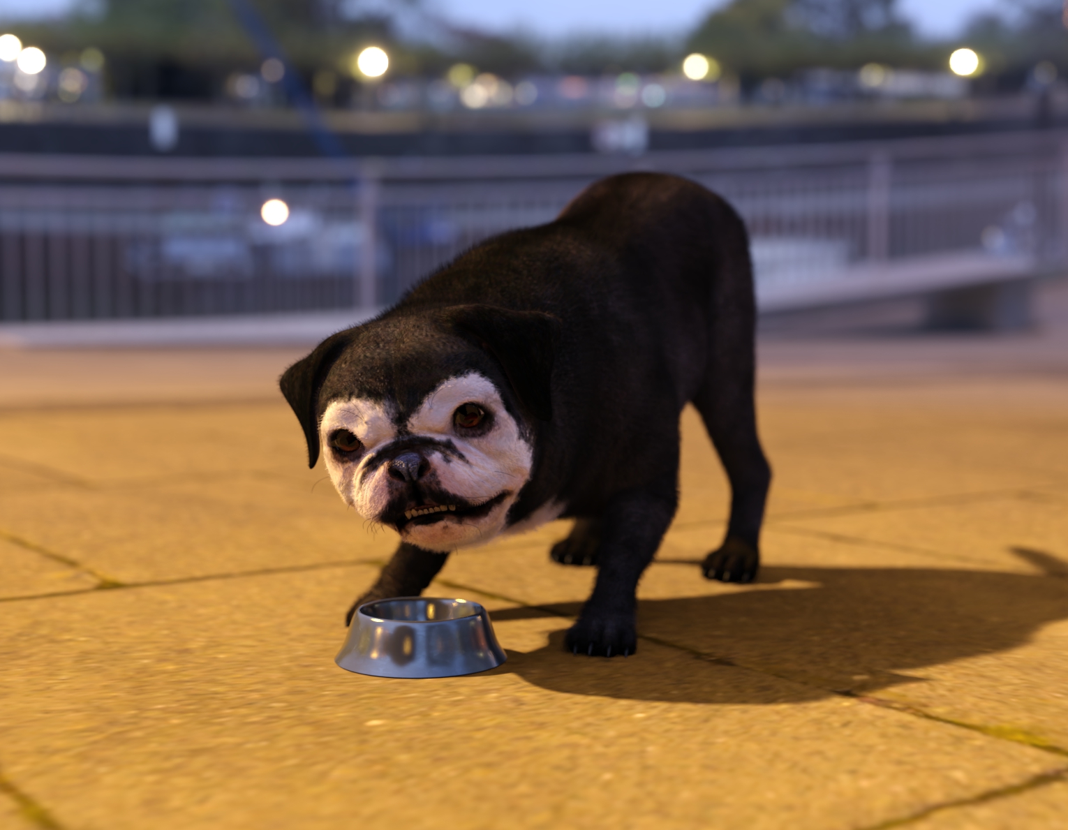 Pug for Daz Dog 8 | Daz 3D