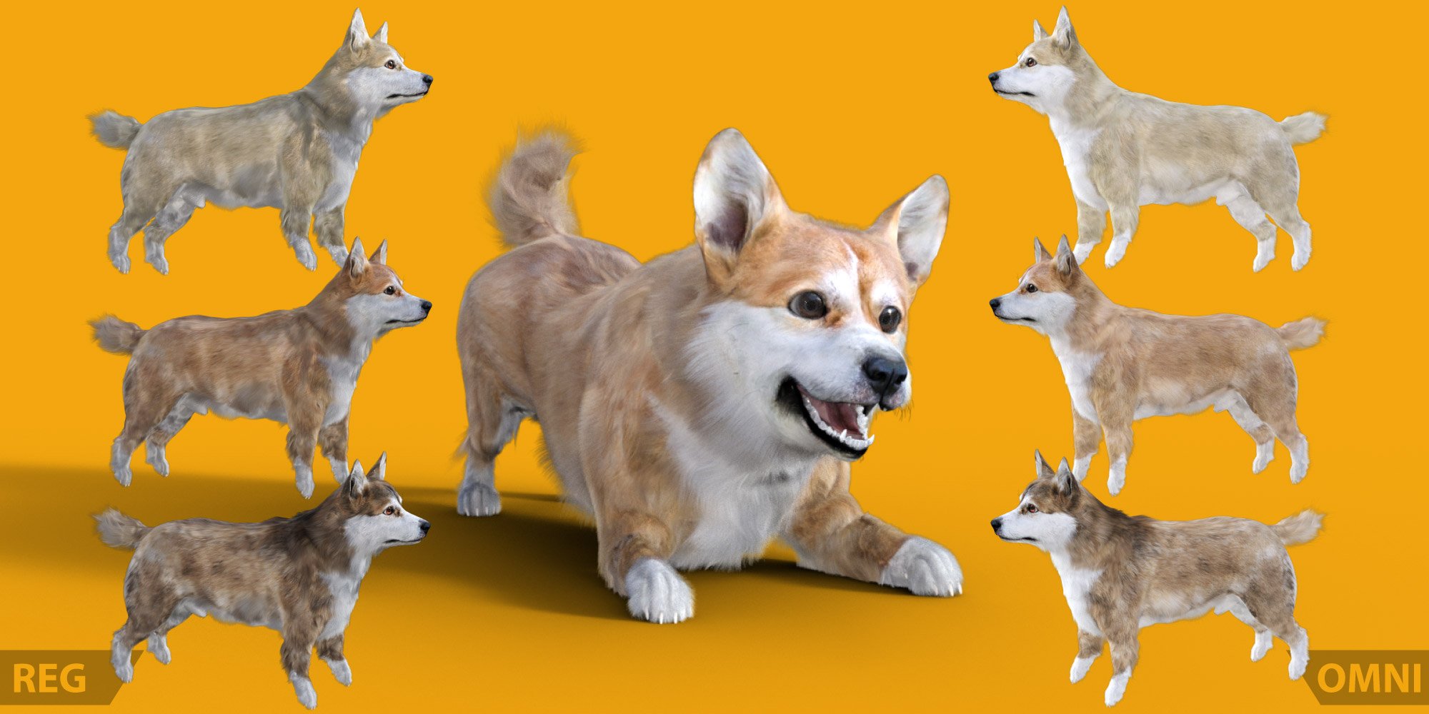 Corgi for Daz Dog 8 | Daz 3D