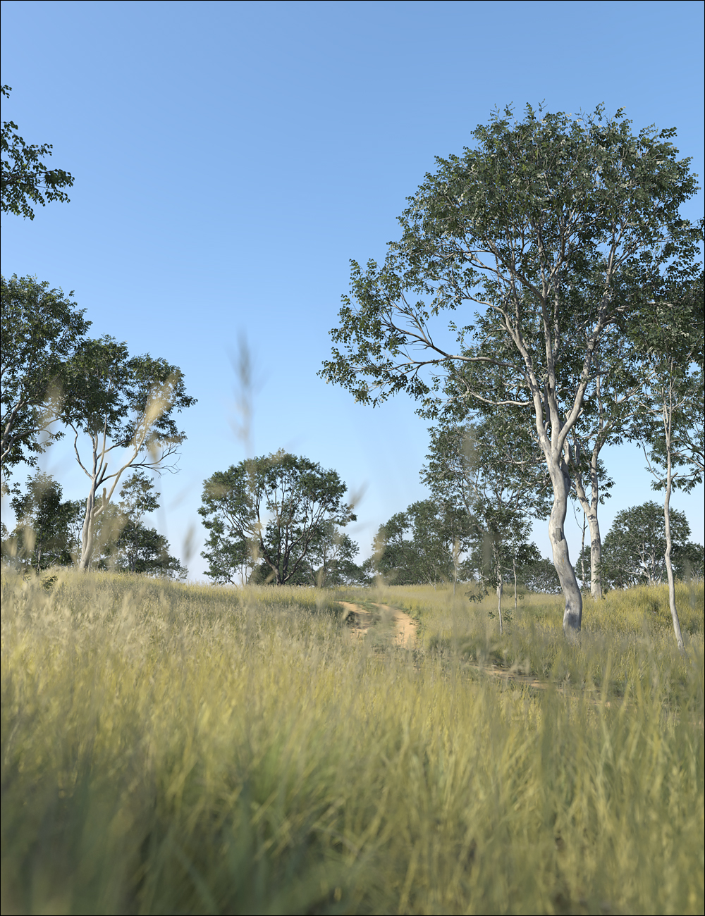 UltraScenery2 - Australia | Daz 3D