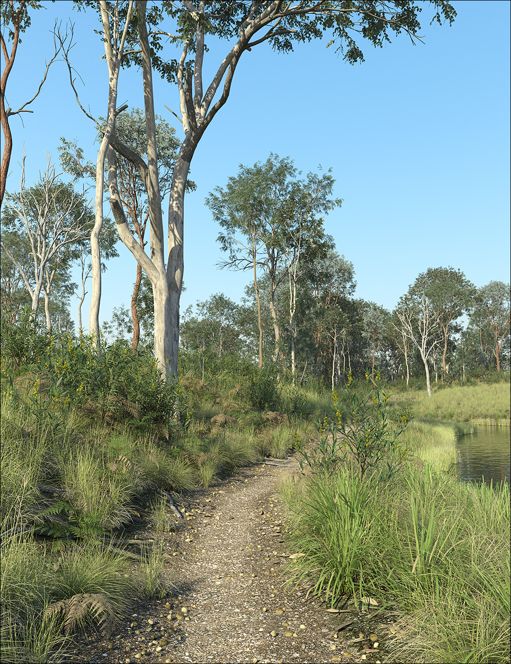 UltraScenery2 - Australia | Daz 3D
