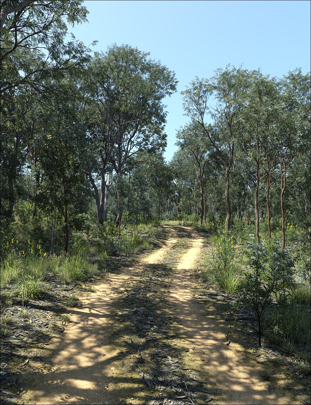 UltraScenery2 - Australia | Daz 3D