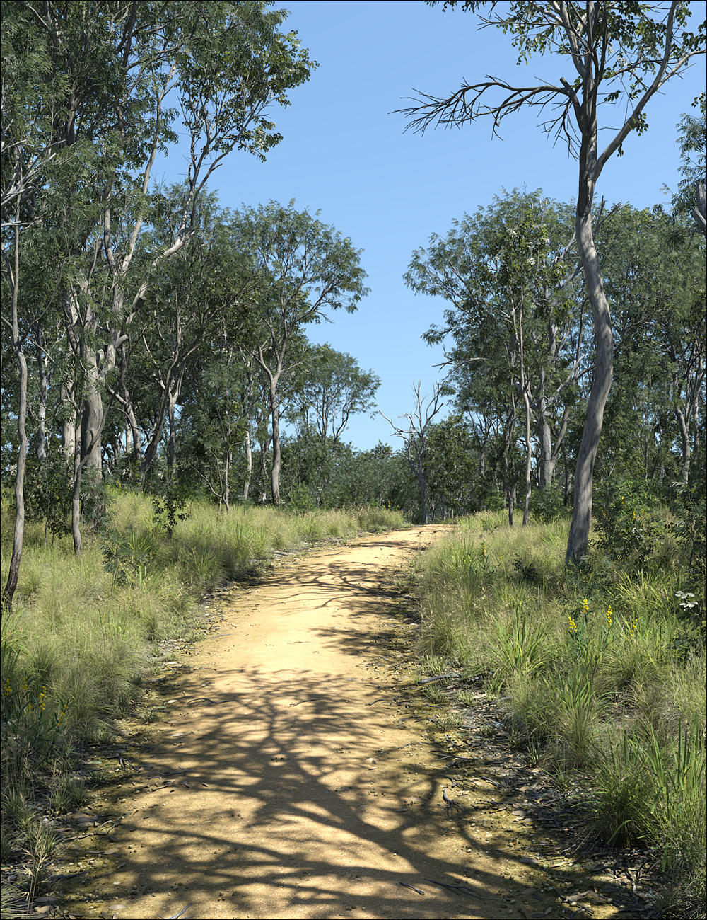 UltraScenery2 - Australia | Daz 3D