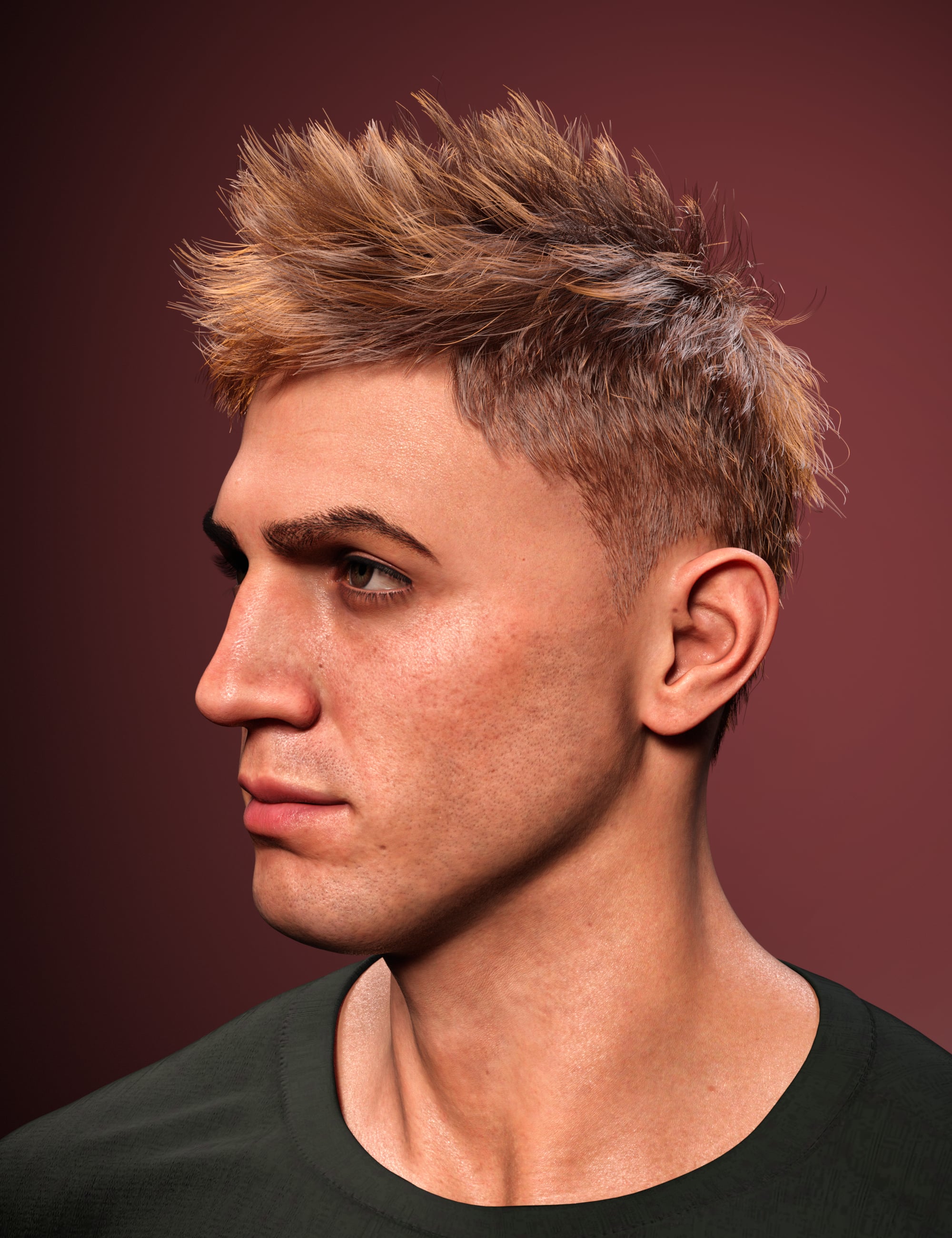 dForce FE Strand-Based Airplane Hair for Genesis 9 | Daz 3D