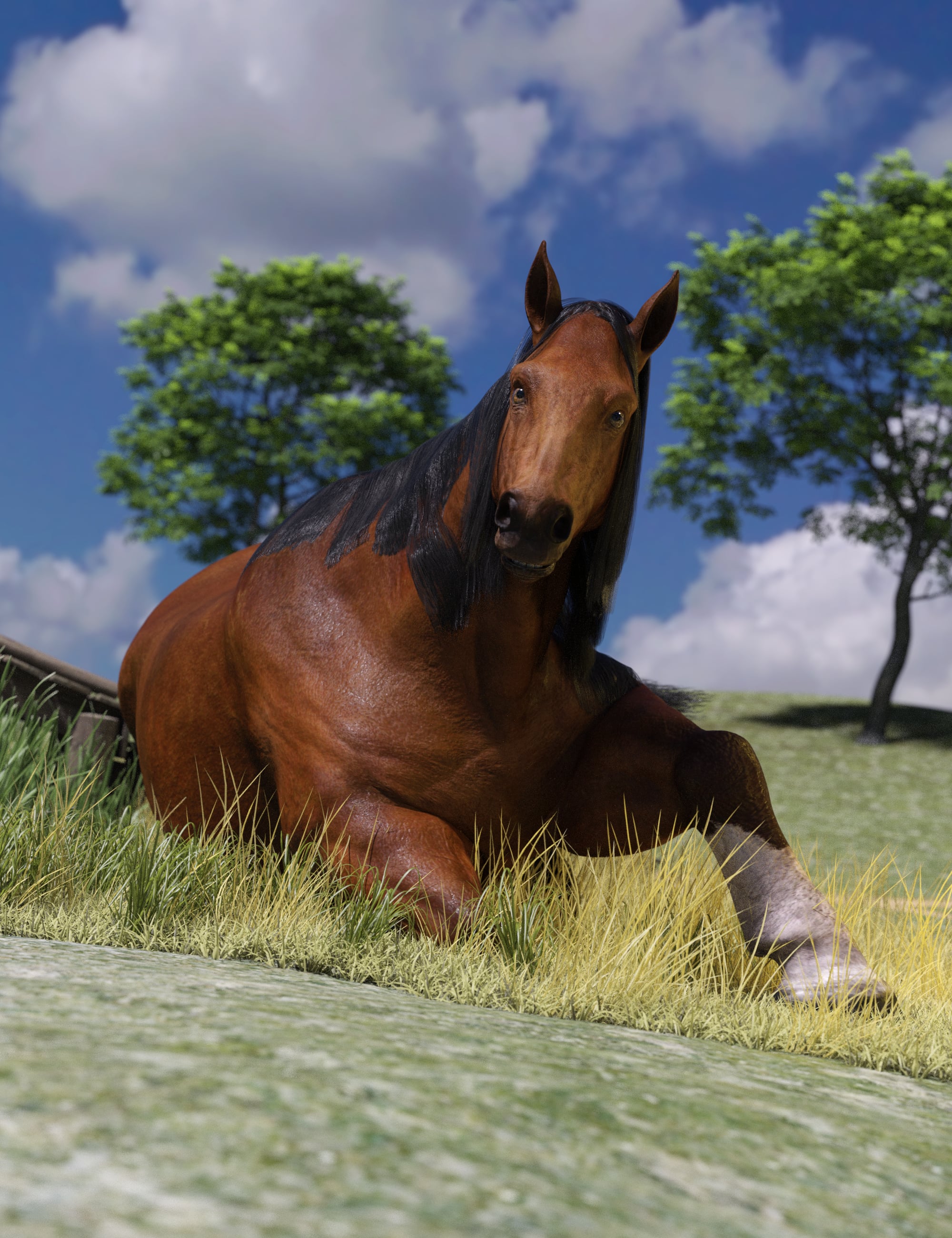 FF's Equus Vitam Poses for Horse 3 and Phenotypes for Horse 3 | Daz 3D