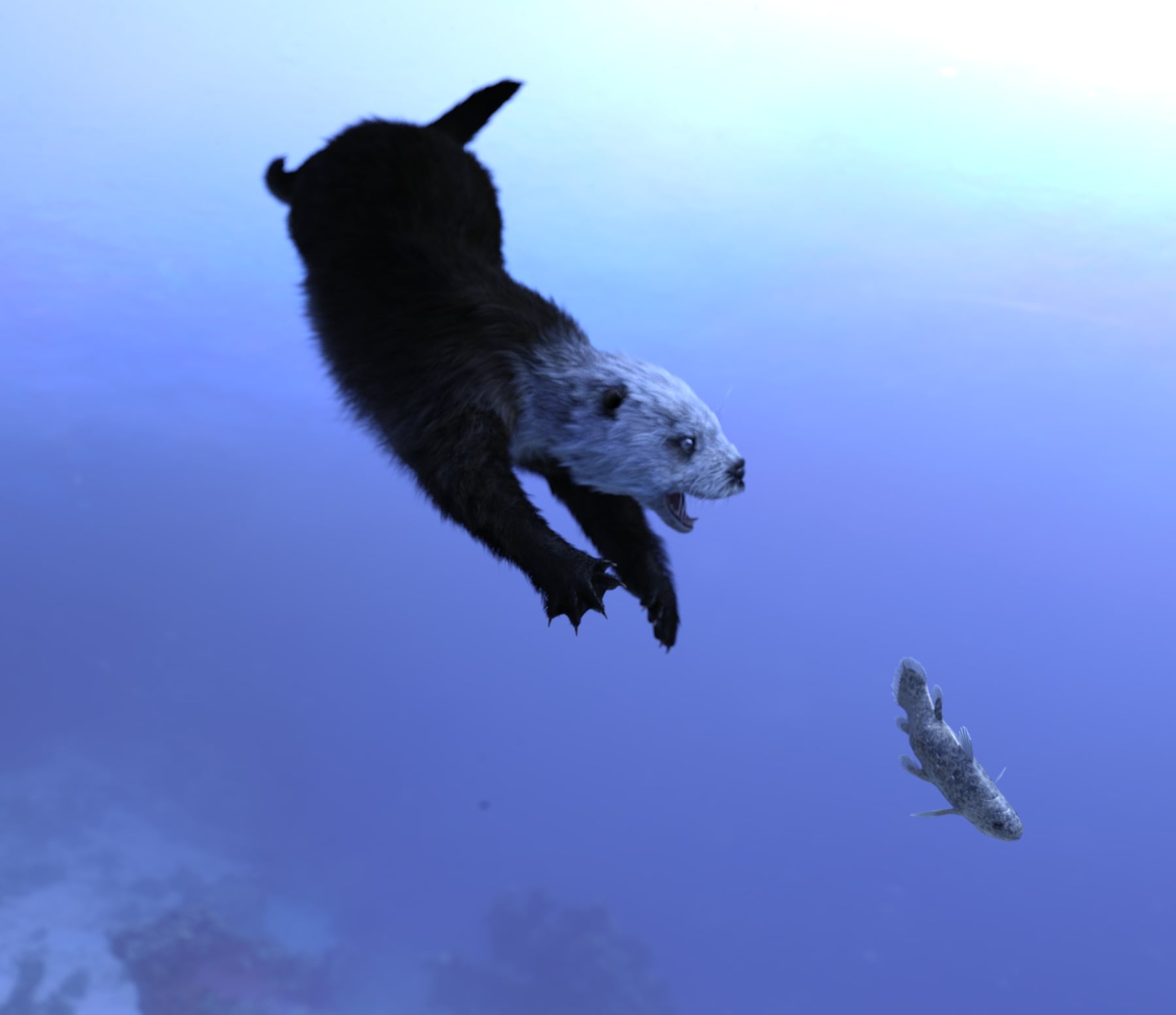 Otter by AM | Daz 3D