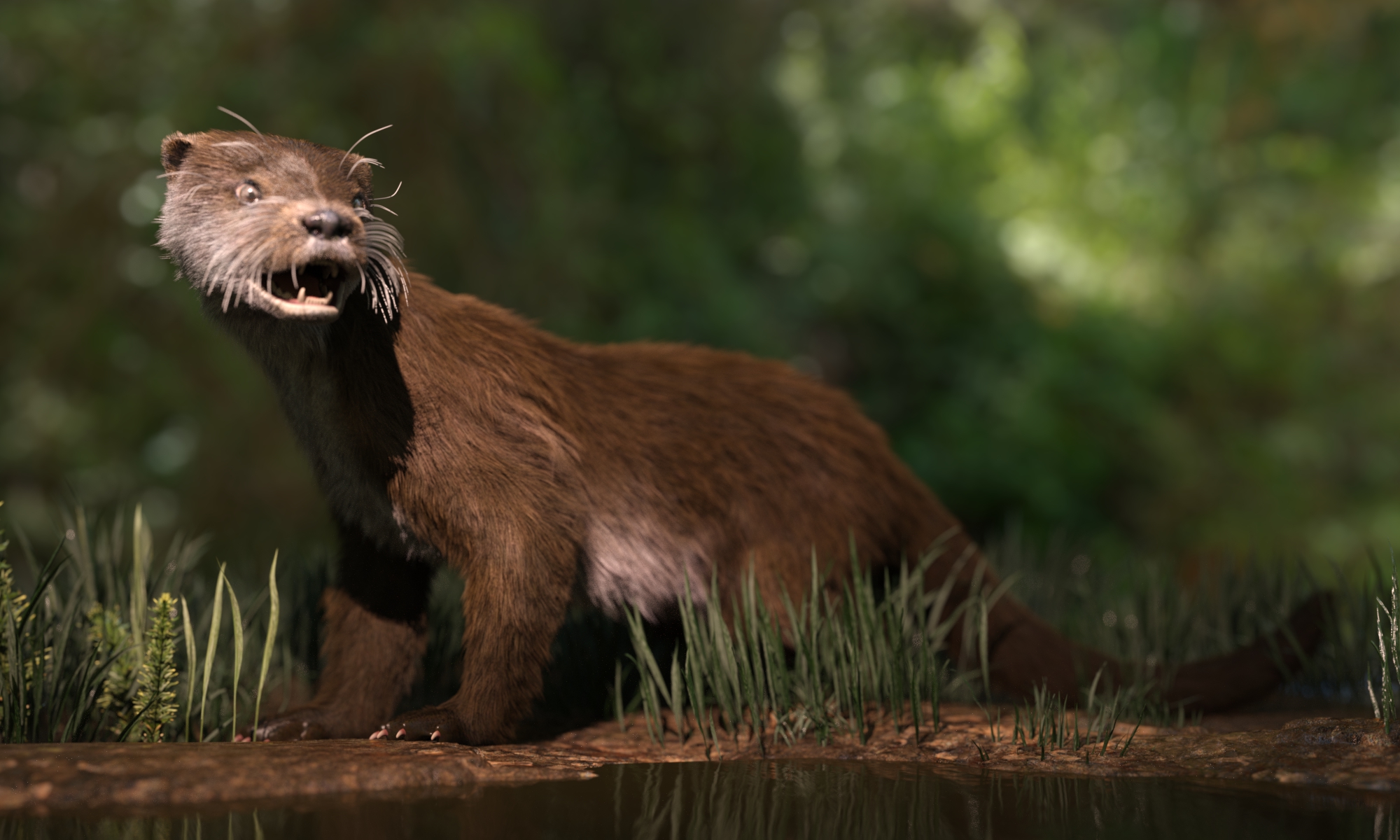 Otter by AM | Daz 3D