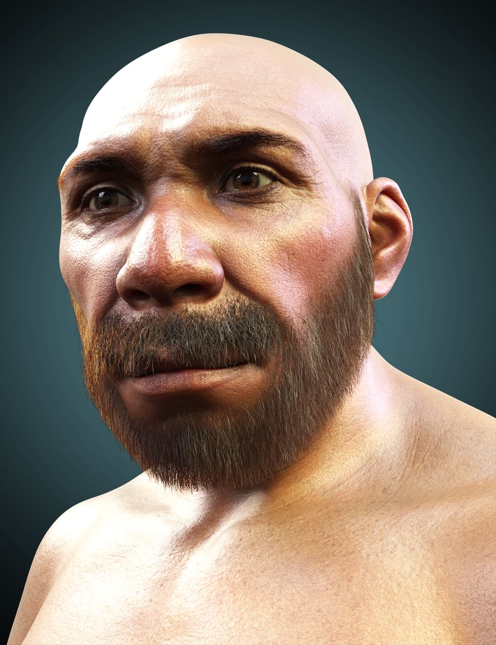 M3D Bandholz Beard for Genesis 9 | Daz 3D