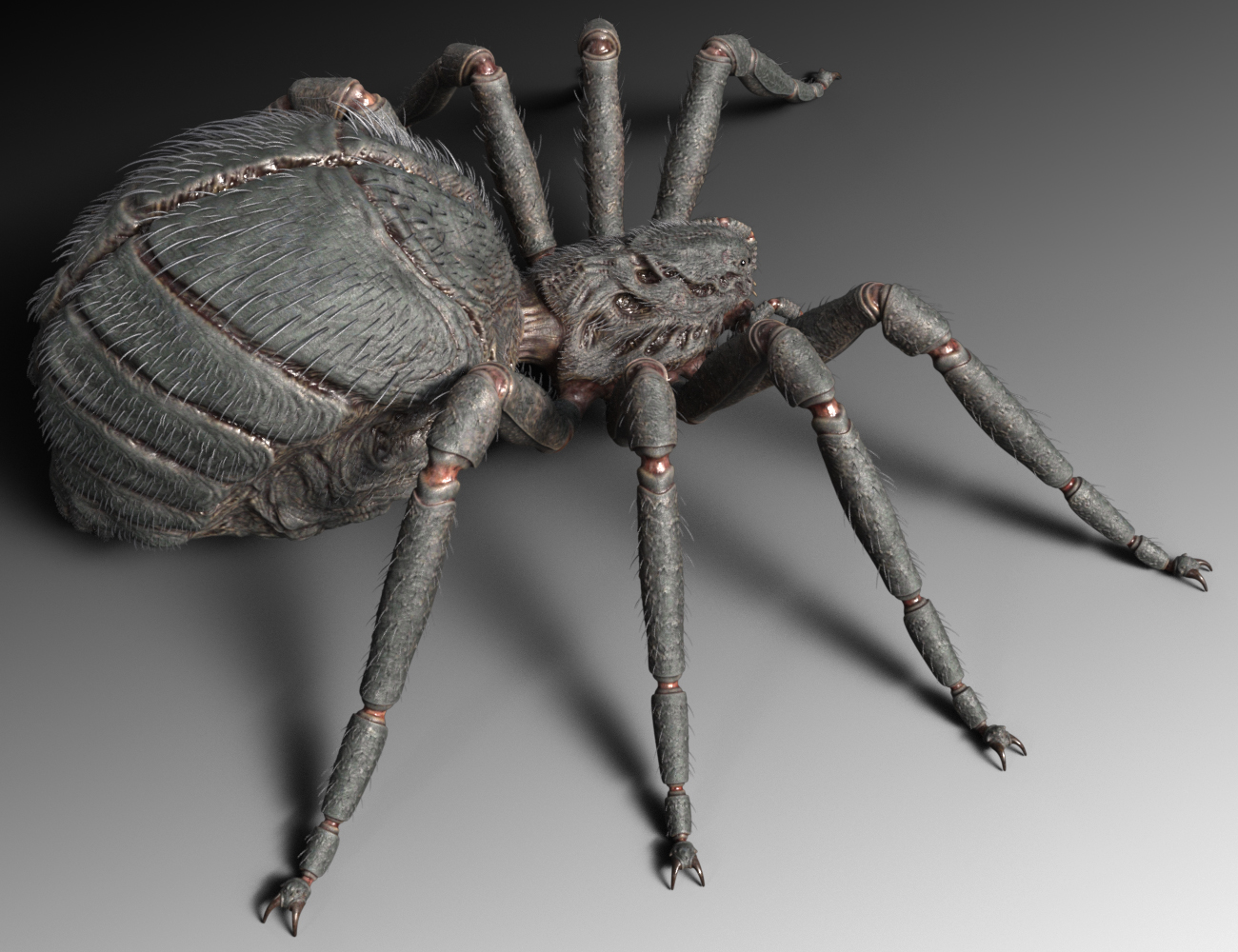 GP Monster Spider 2 | Daz 3D
