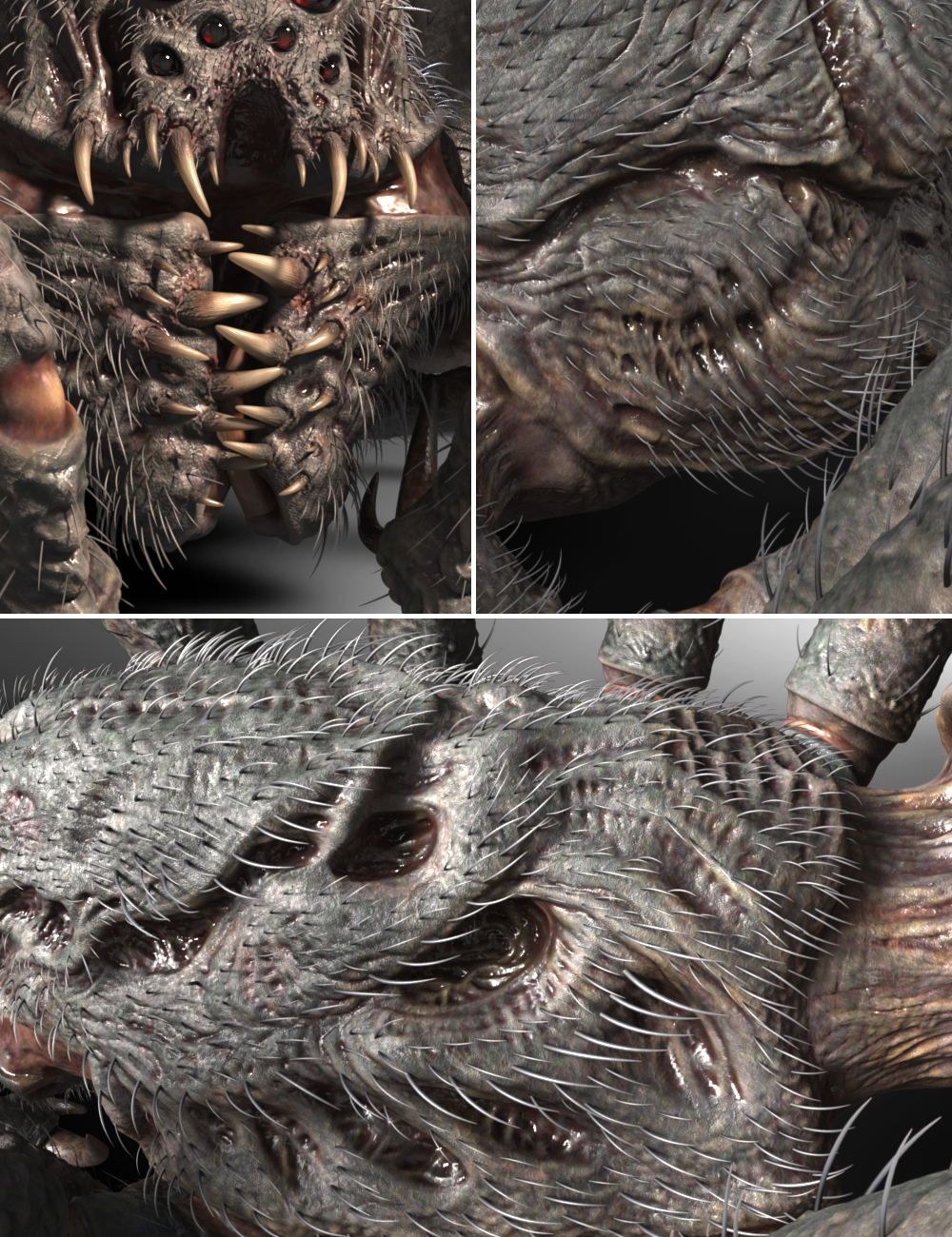 GP Monster Spider 2 | Daz 3D