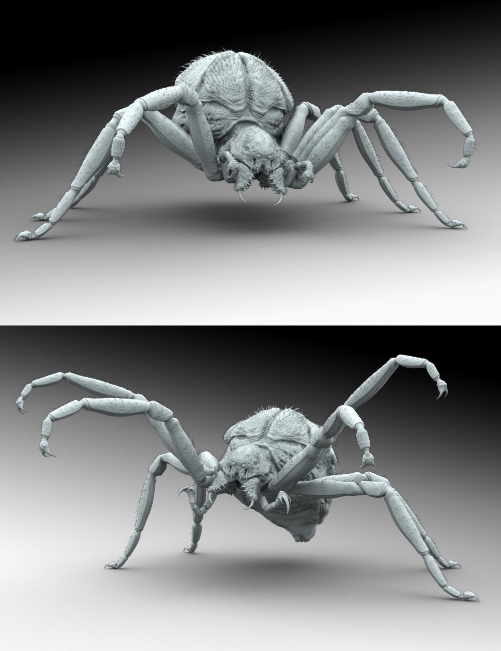 GP Monster Spider 2 | Daz 3D