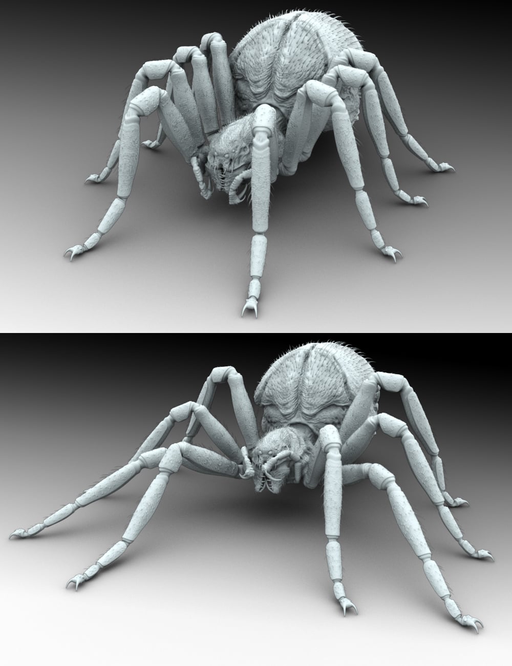GP Monster Spider 2 | Daz 3D