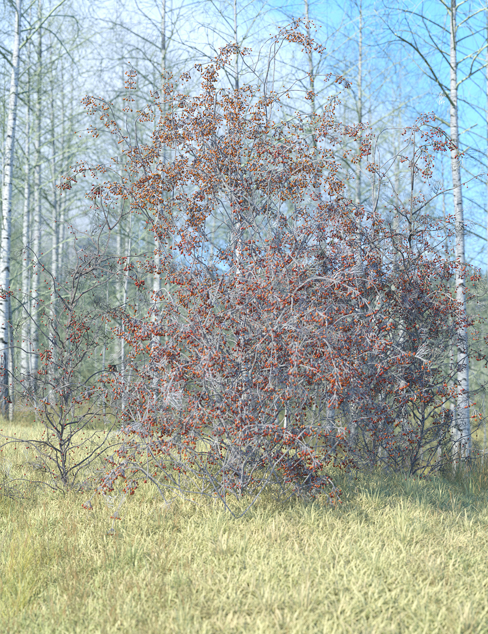 Hedgerow Kit 2 - Winter Hawthorne Hedges | Daz 3D