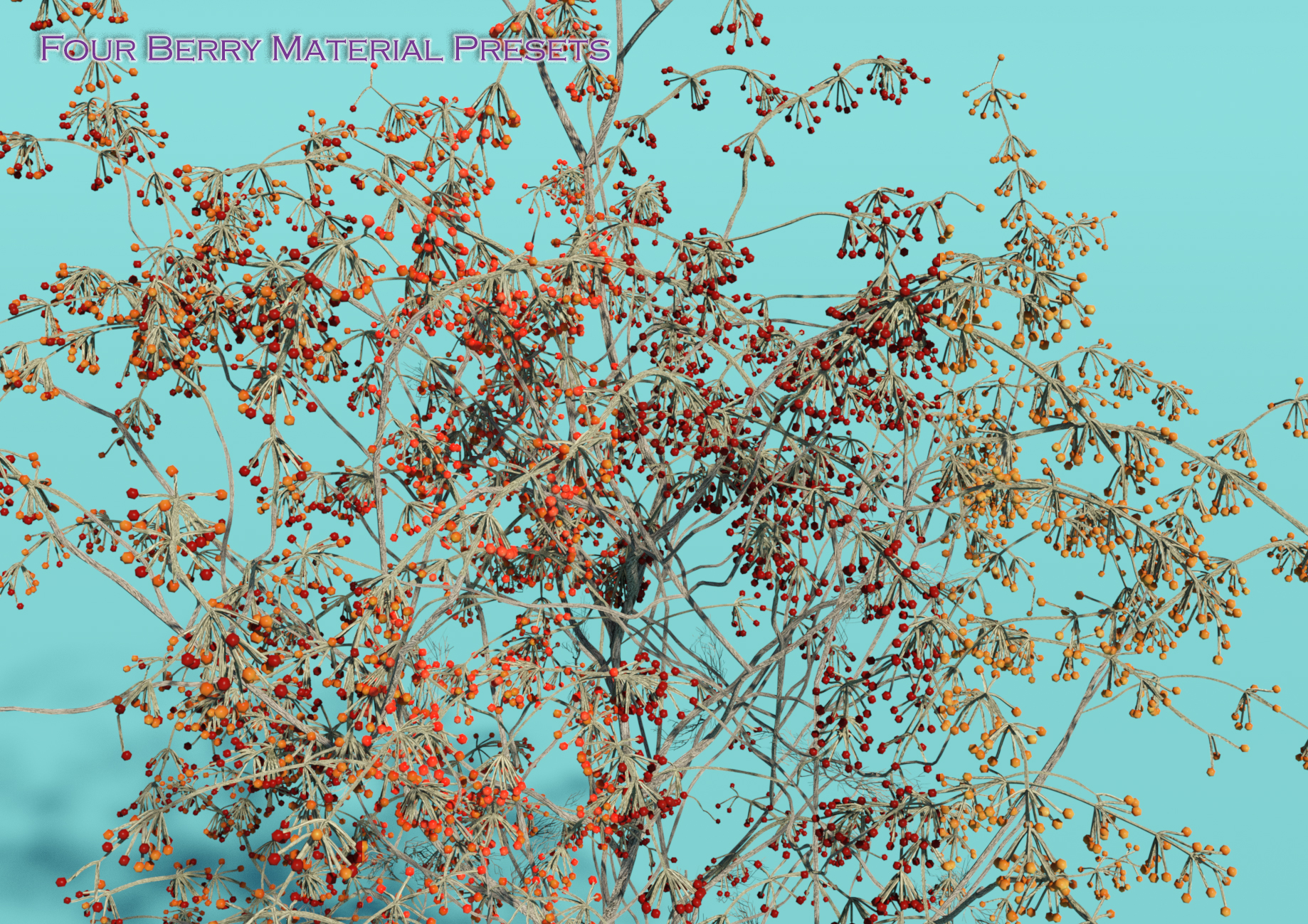 Hedgerow Kit 2 - Winter Hawthorne Hedges | Daz 3D