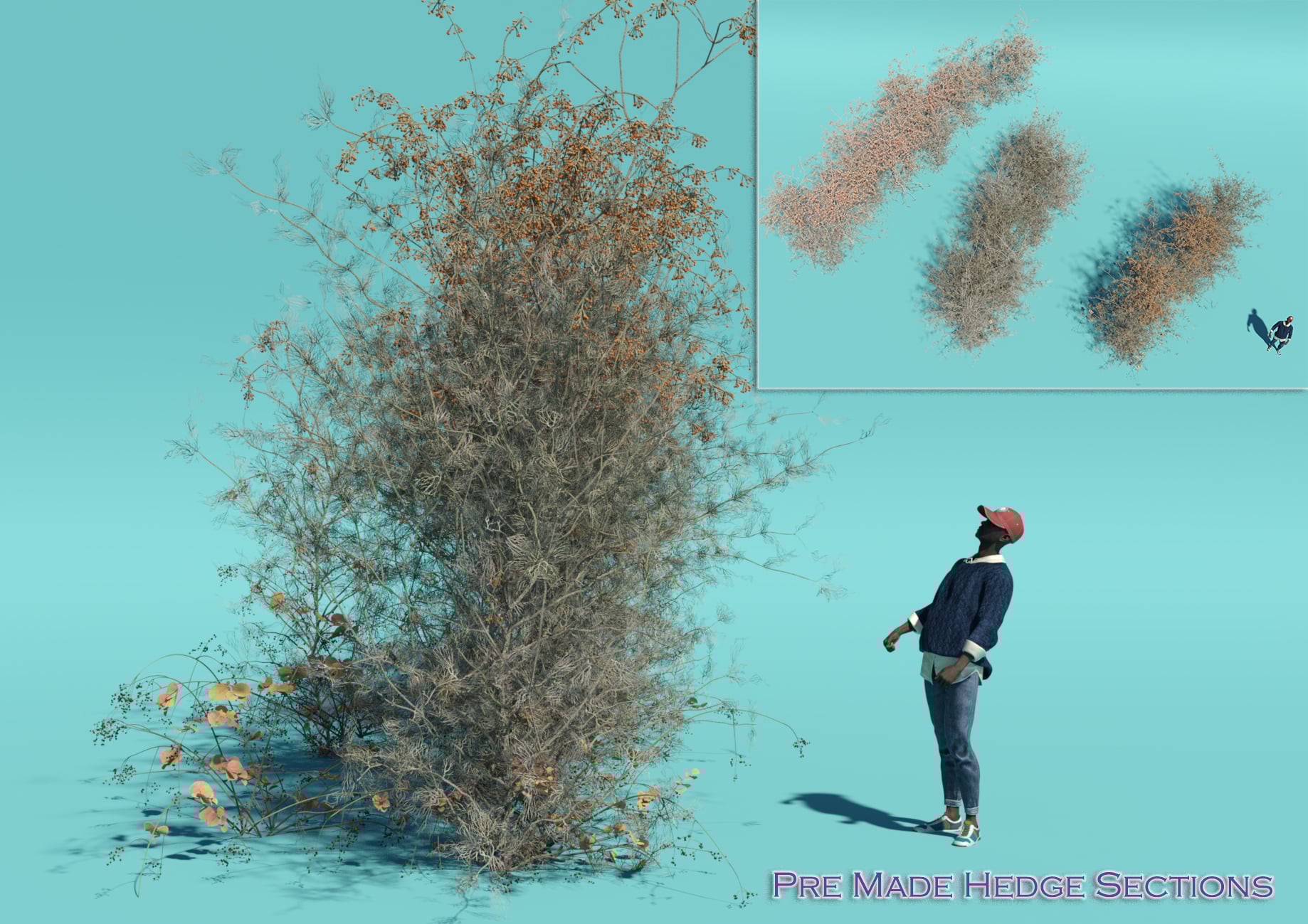 Hedgerow Kit 2 - Winter Hawthorne Hedges | Daz 3D