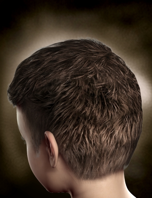 JoeyDucky Hairstyle | Daz 3D