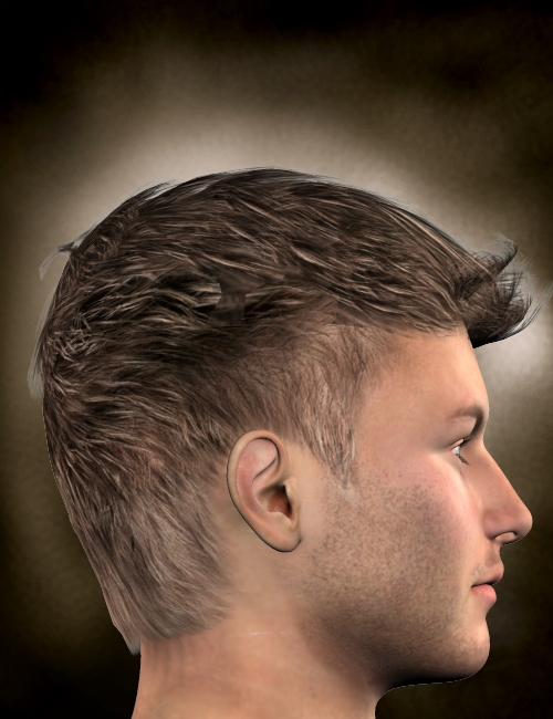 JoeyDucky Hairstyle | Daz 3D