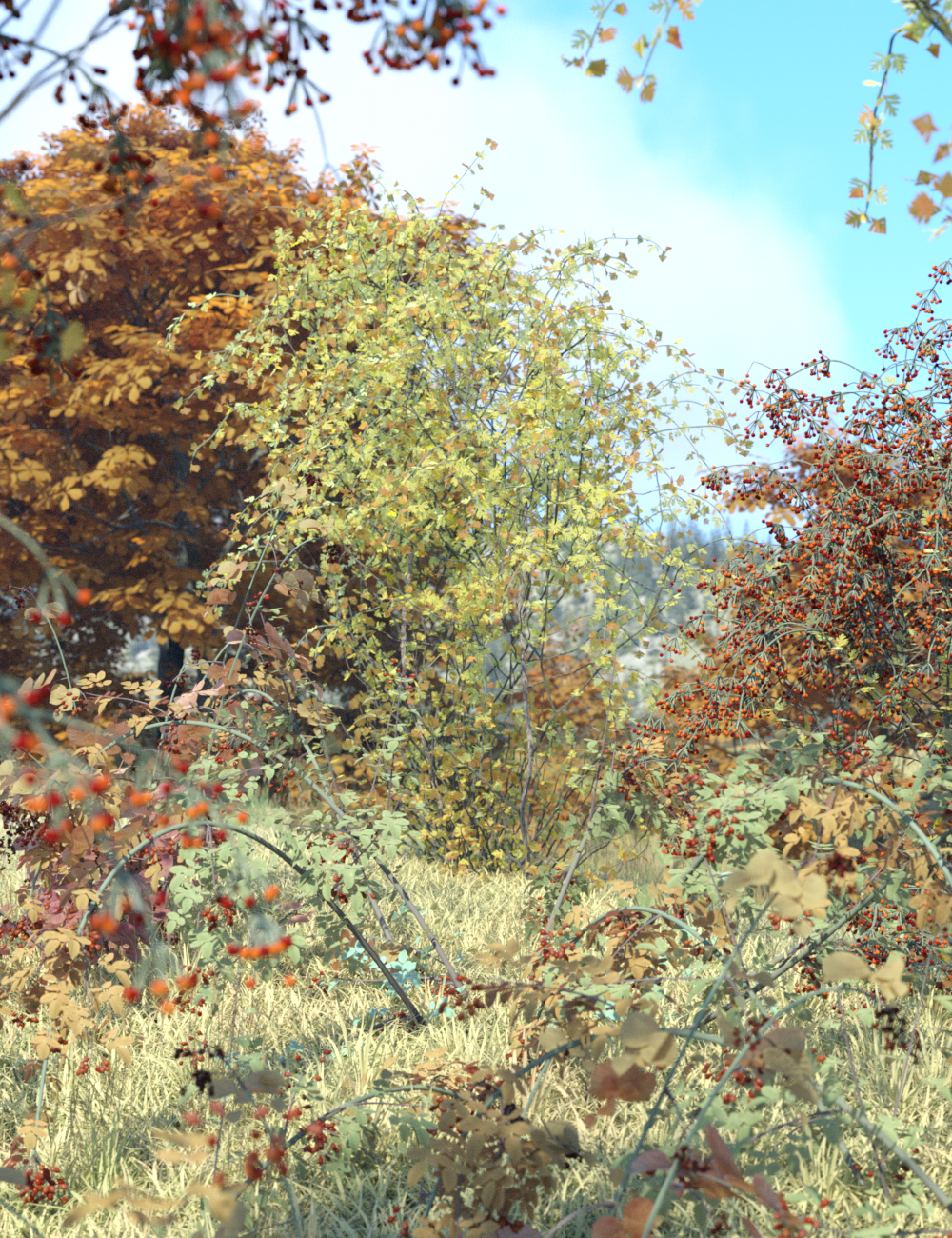 Hedgerow Kit 3 - Fall Hawthorne Hedges Brambles and DogRose | Daz 3D