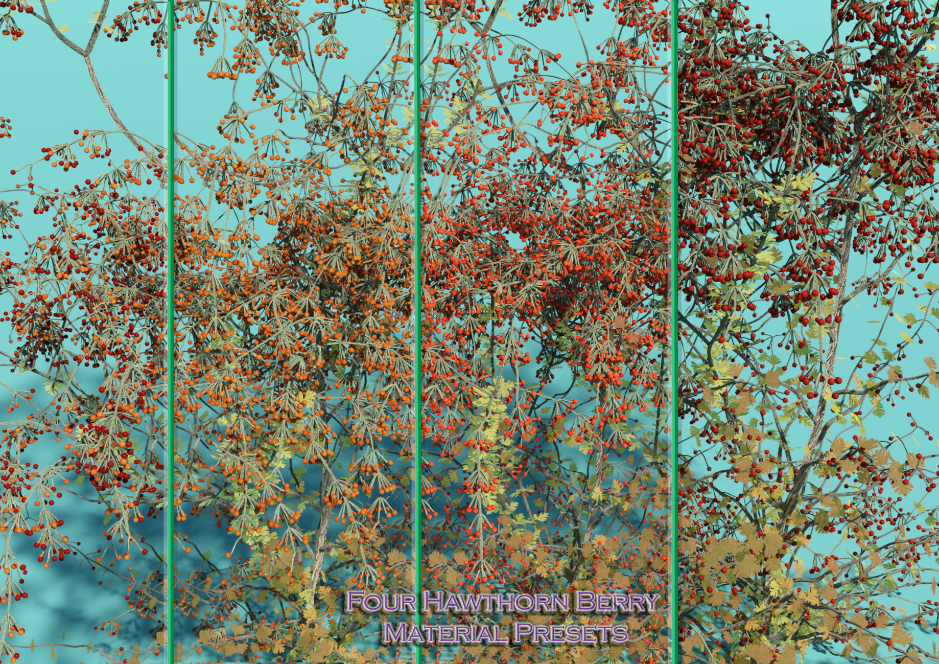Hedgerow Kit 3 - Fall Hawthorne Hedges Brambles and DogRose | Daz 3D