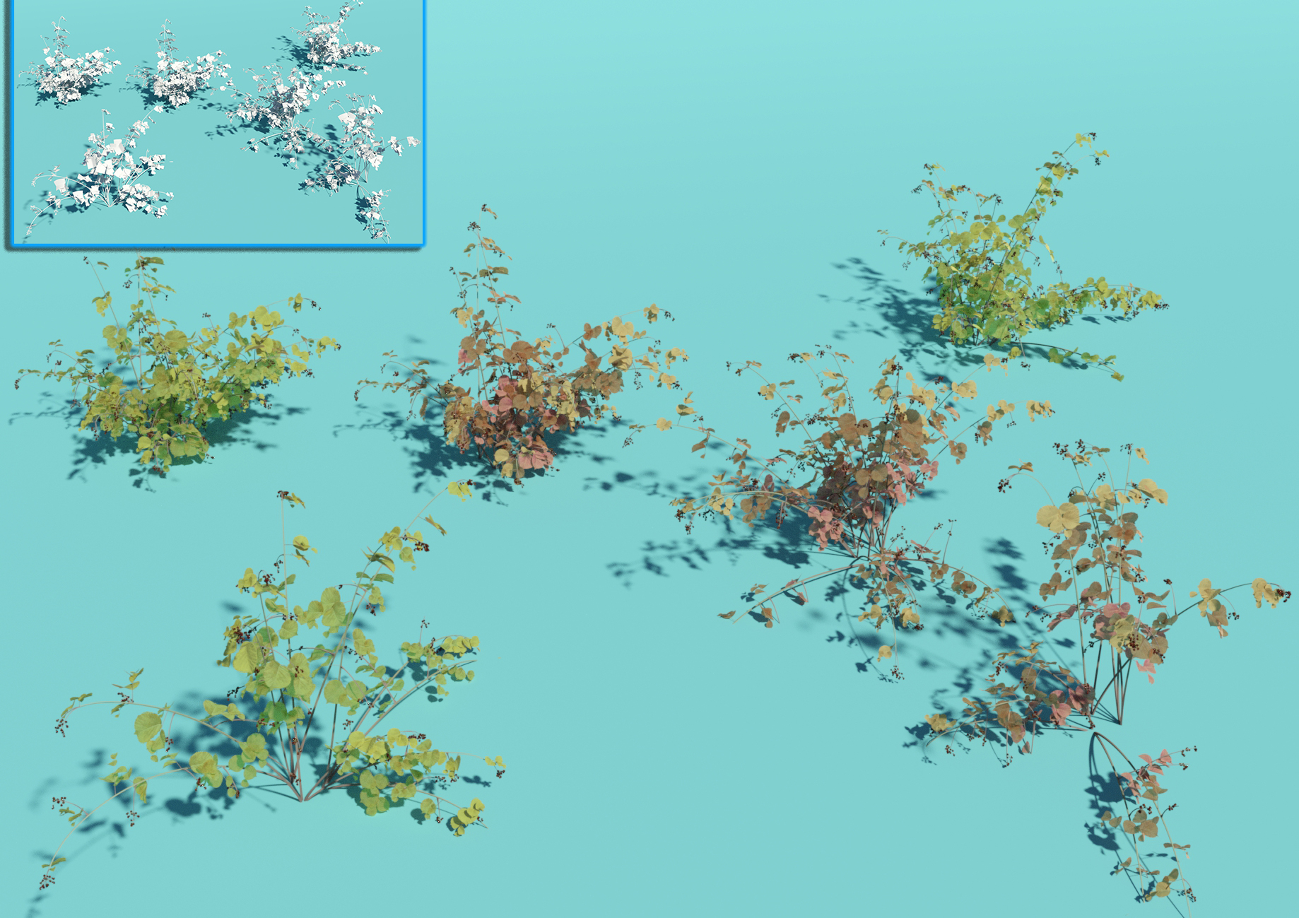 Hedgerow Kit 3 - Fall Hawthorne Hedges Brambles and DogRose | Daz 3D