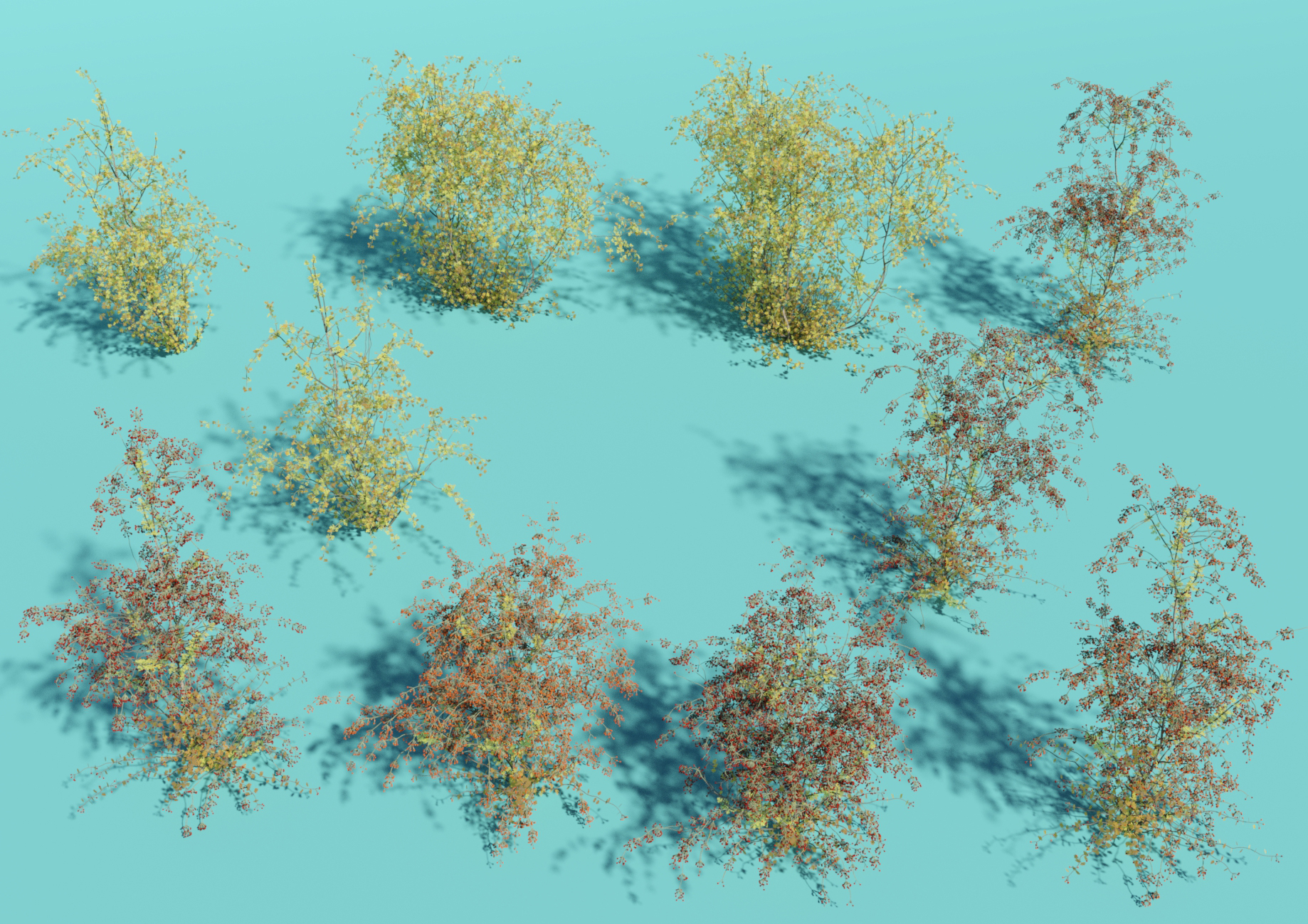 Hedgerow Kit 3 - Fall Hawthorne Hedges Brambles and DogRose | Daz 3D