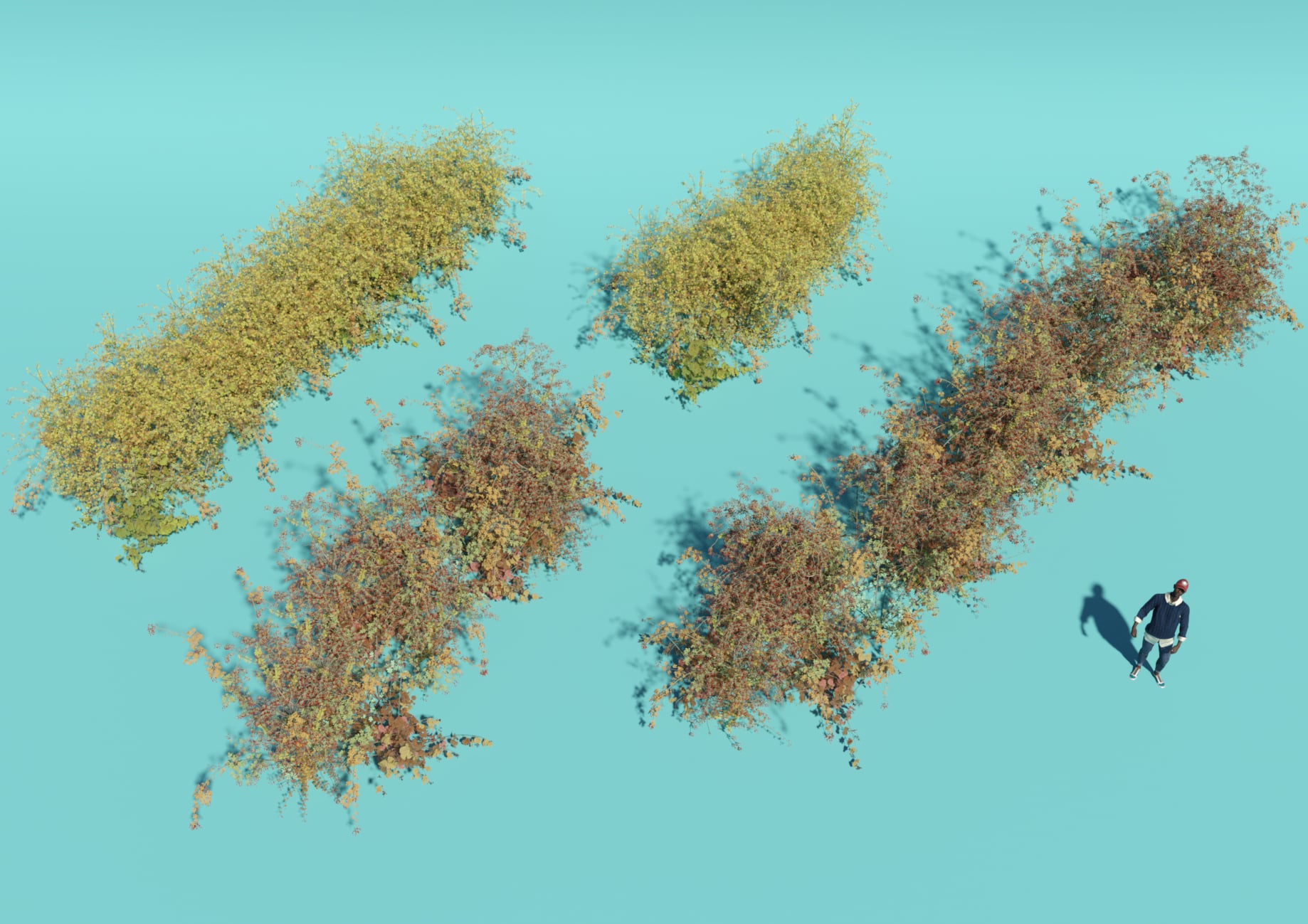Hedgerow Kit 3 - Fall Hawthorne Hedges Brambles and DogRose | Daz 3D