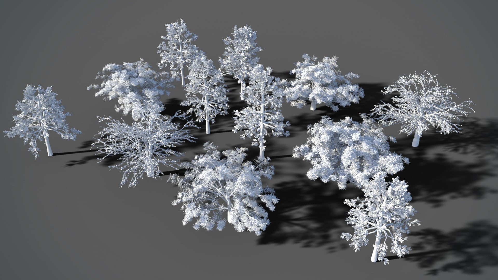 Nature Plants 07 | Daz 3D