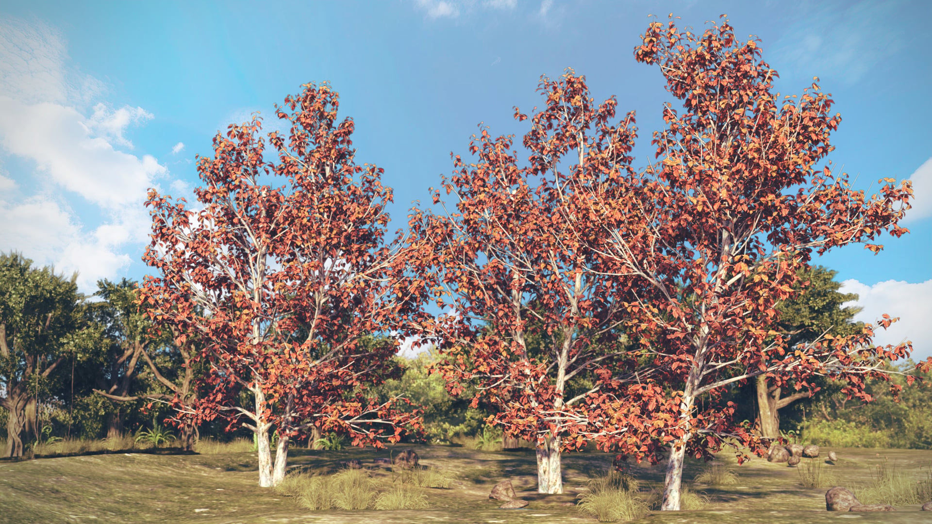 Nature Plants Bundle 03 | Daz 3D