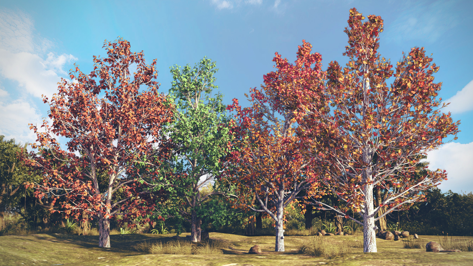 Nature Plants Bundle 03 | Daz 3D
