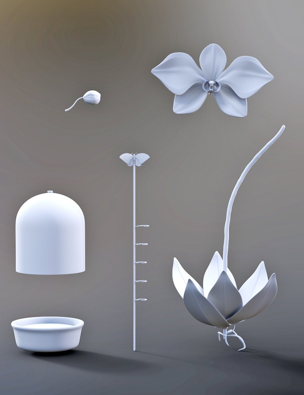 Morphing Orchid | Daz 3D