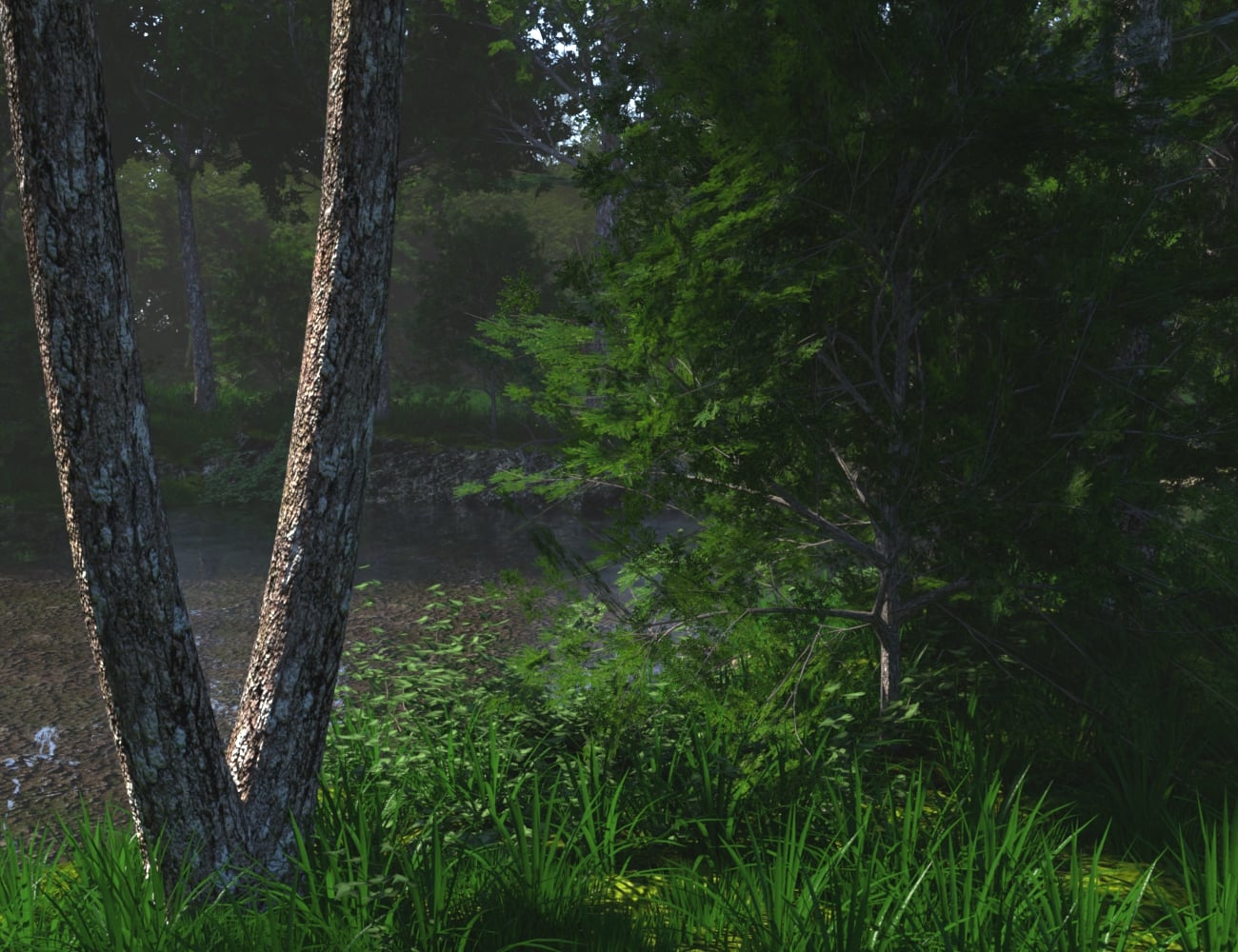 Forest Creek | Daz 3D