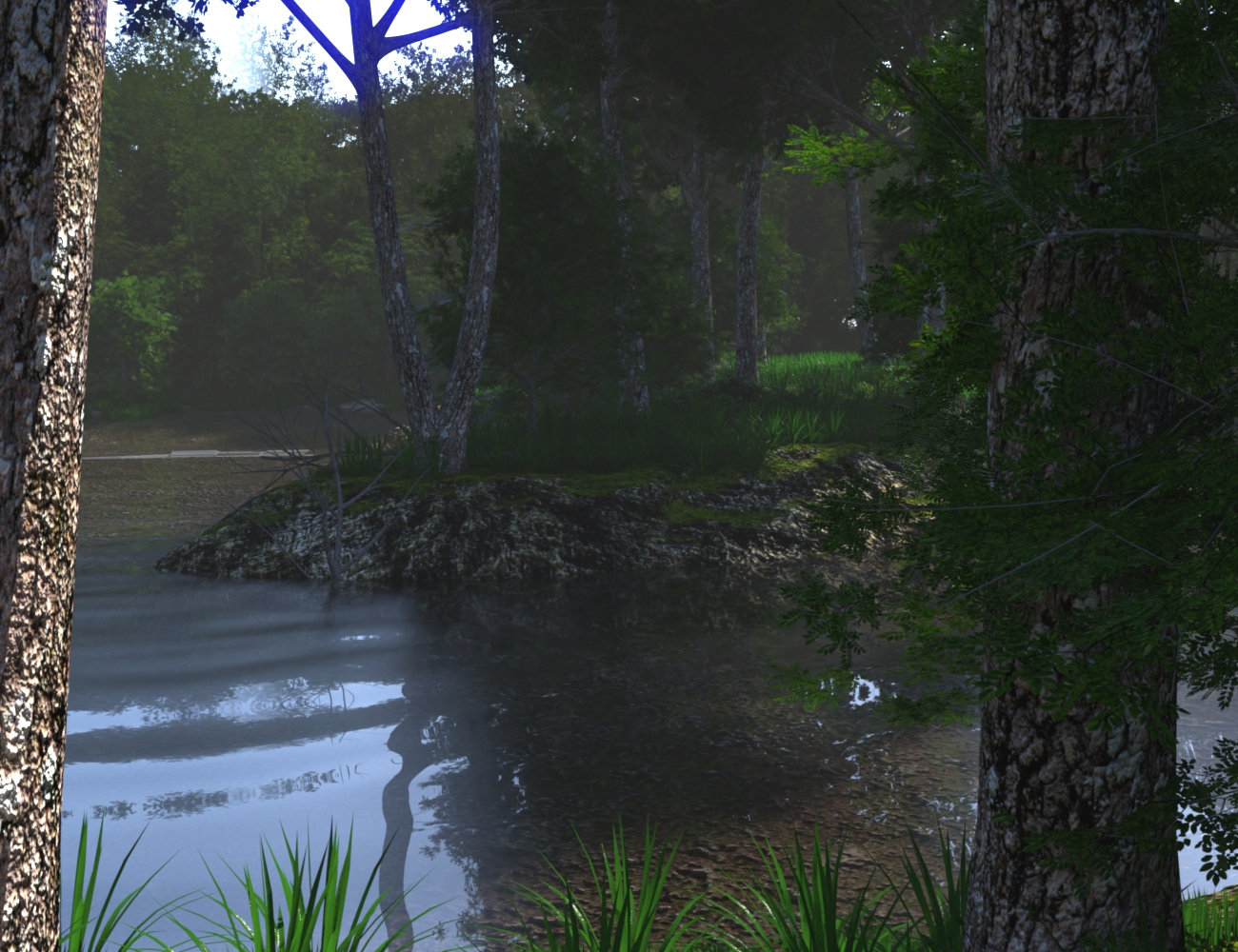 Forest Creek | Daz 3D