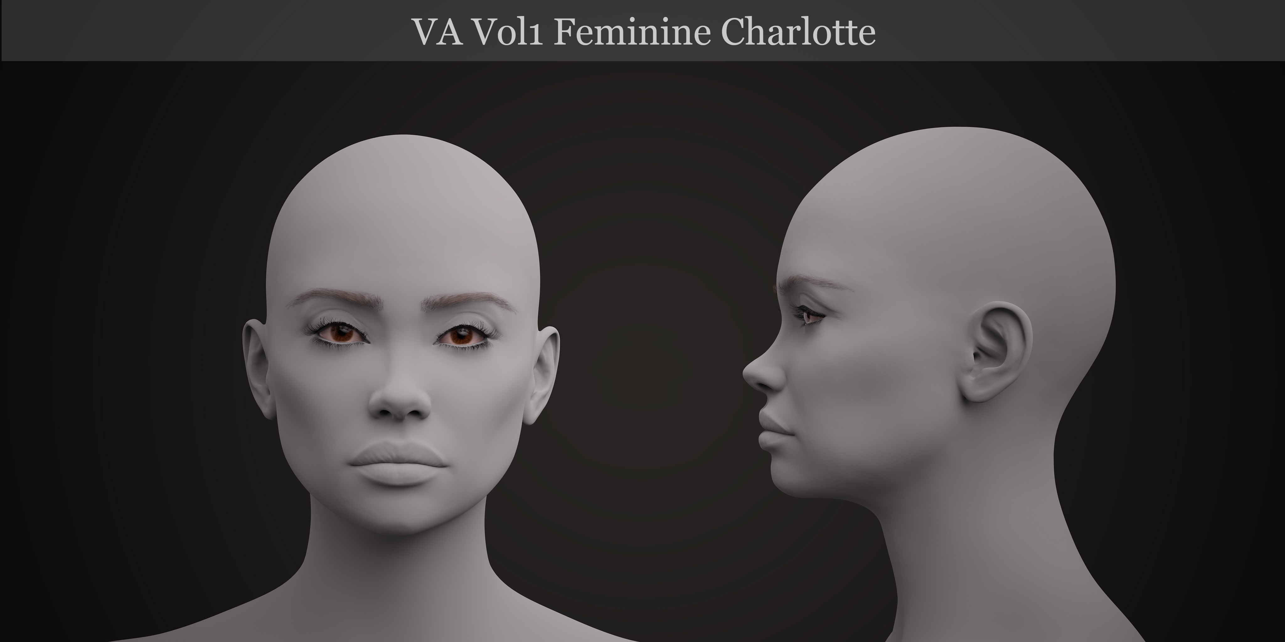 VA Head Morphs Vol1 for Genesis 9F - Merchant Resource | Daz 3D