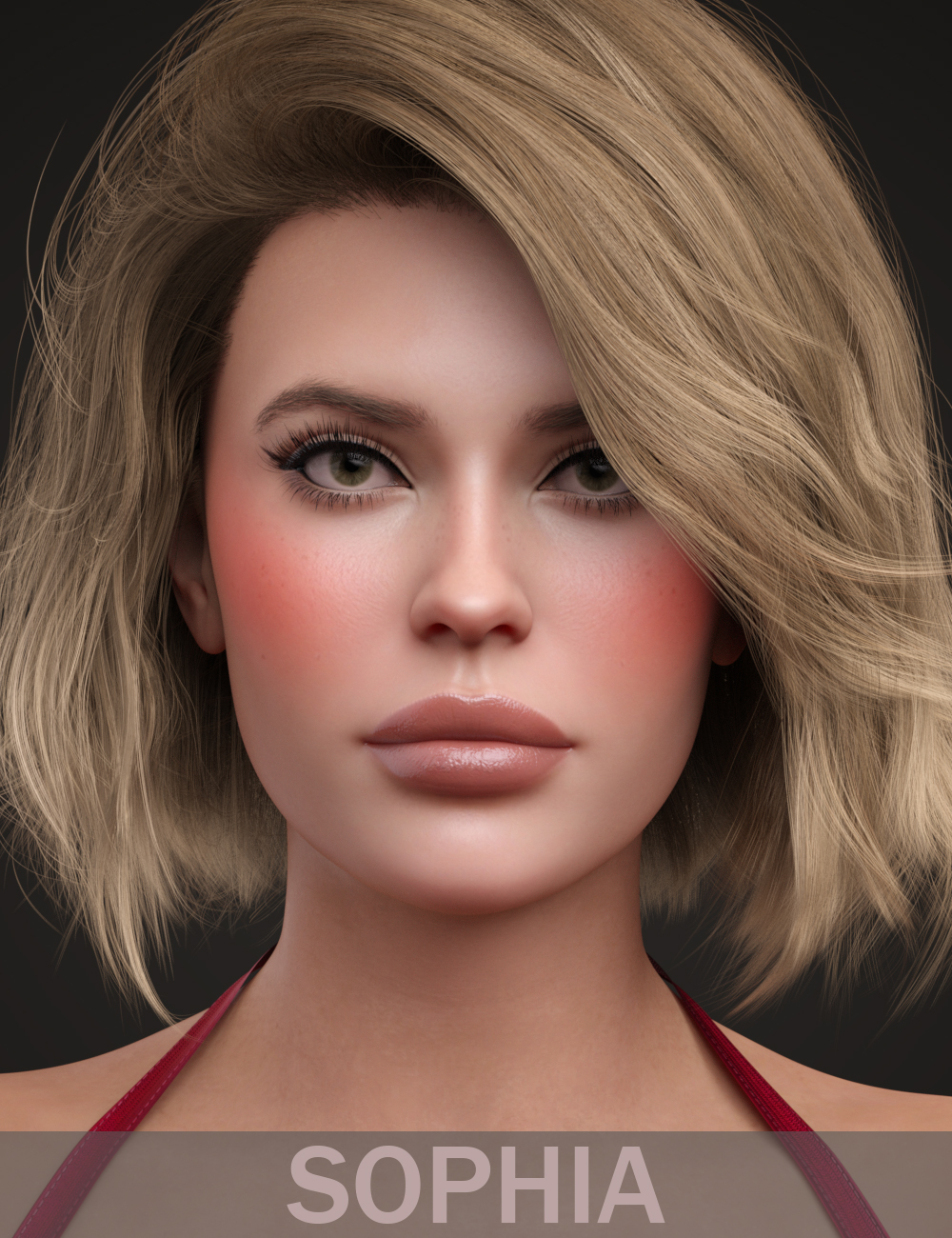 VA Head Morphs Vol1 for Genesis 9F - Merchant Resource | Daz 3D