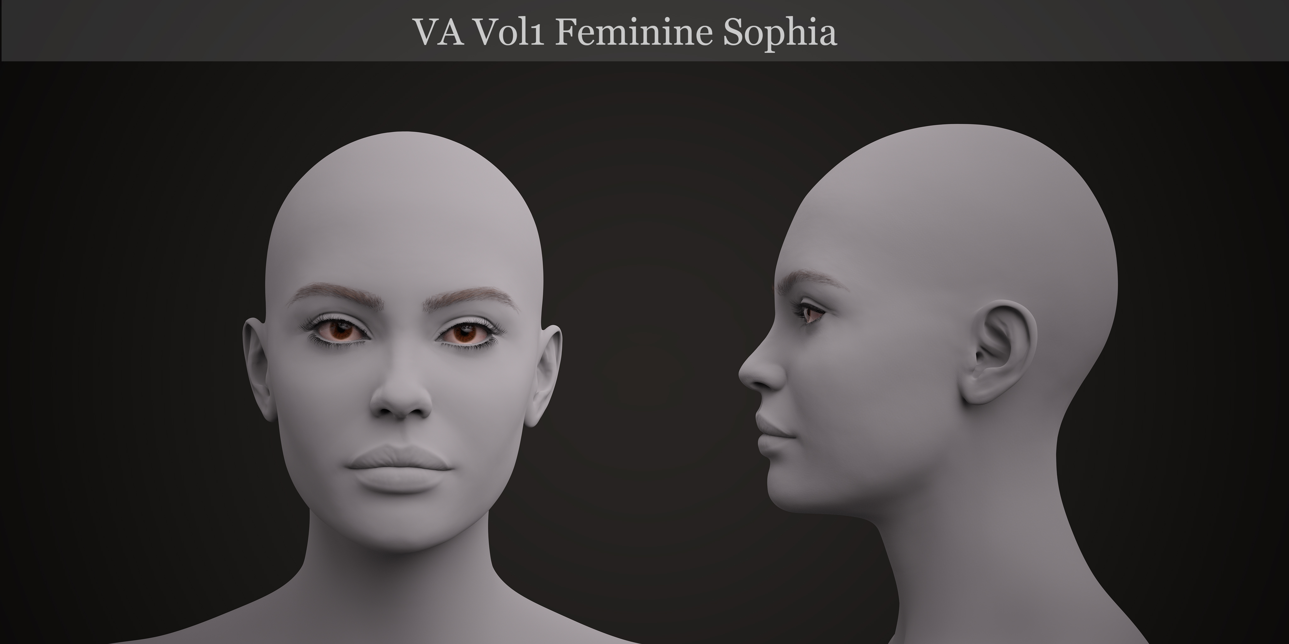 VA Head Morphs Vol1 for Genesis 9F - Merchant Resource | Daz 3D