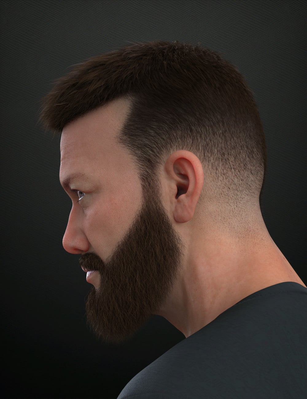 Short Fade Hair and Rugged Beard for Genesis 9 | Daz 3D