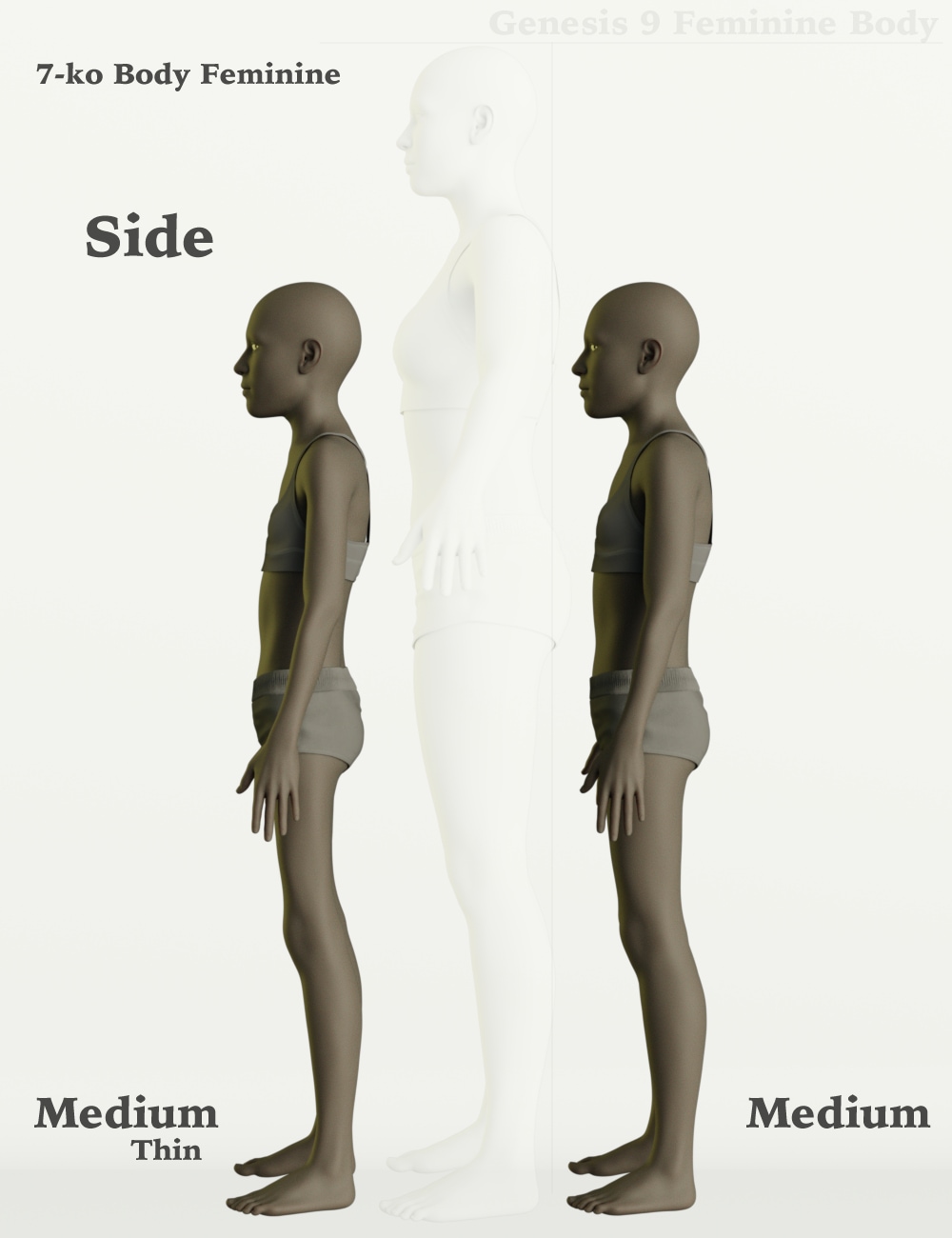 7-ko Body Shapes for Genesis 9 Feminine | Daz 3D