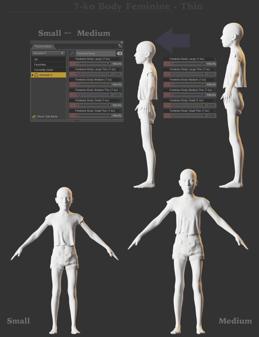 7-ko Body Shapes for Genesis 9 Feminine | Daz 3D