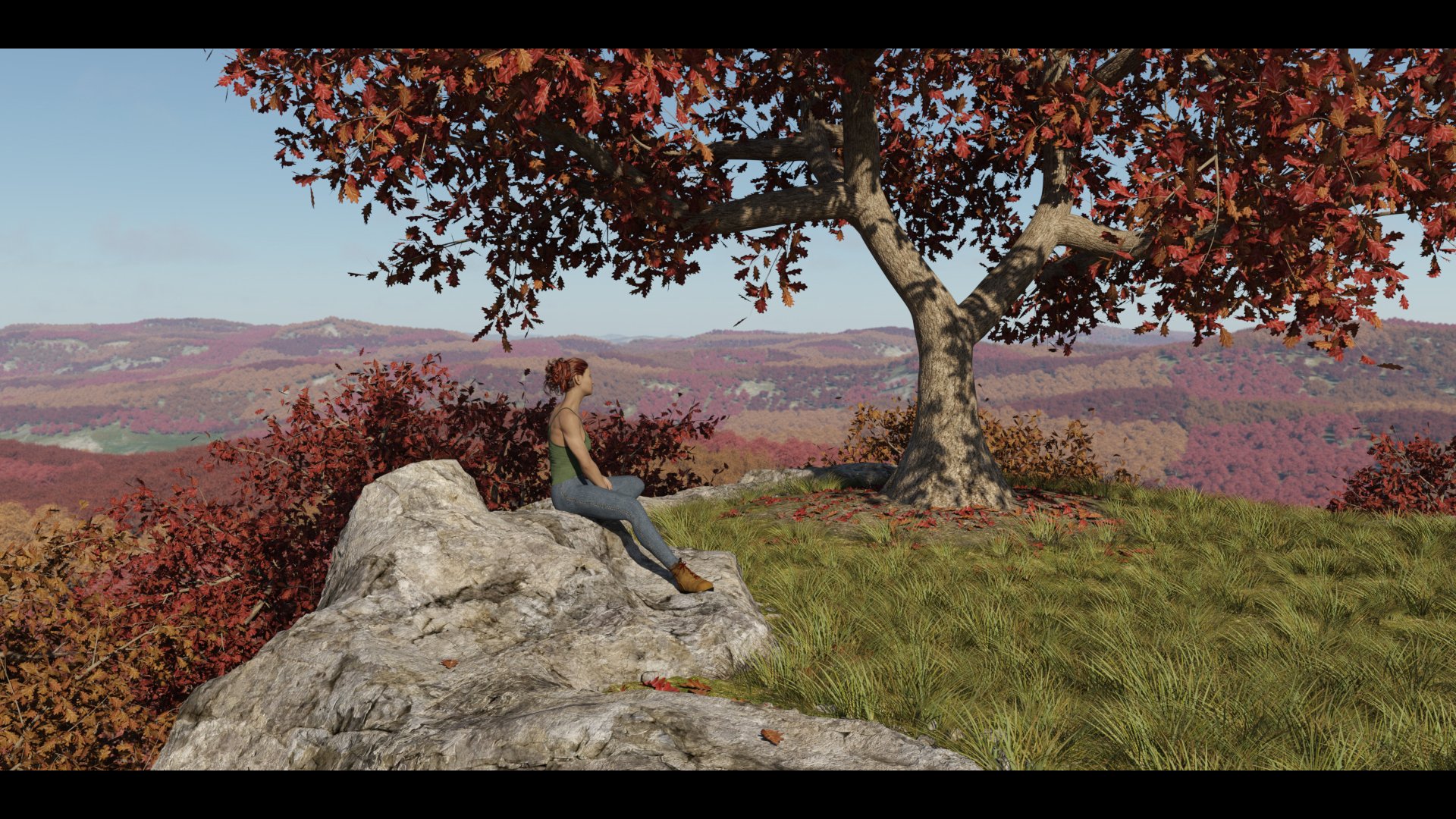 Easy Environments: Autumn Woods | Daz 3D