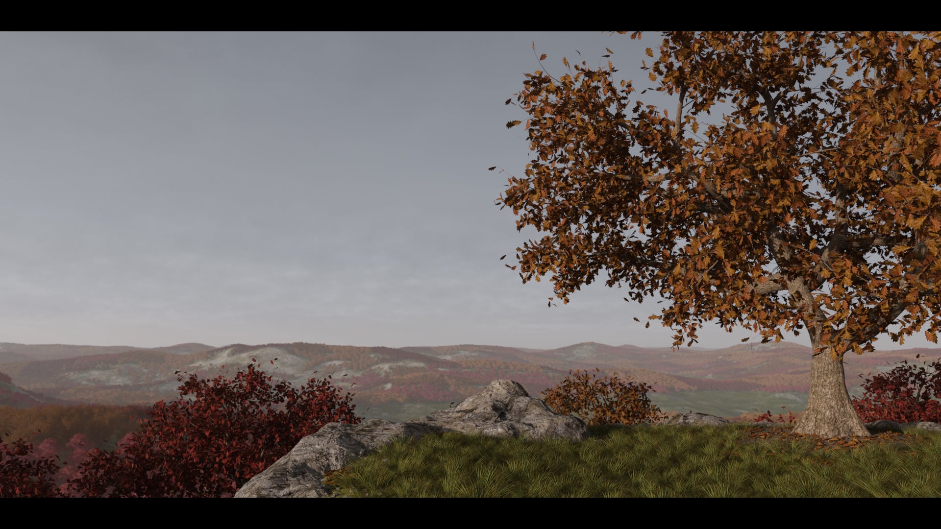 Easy Environments: Autumn Woods | Daz 3D