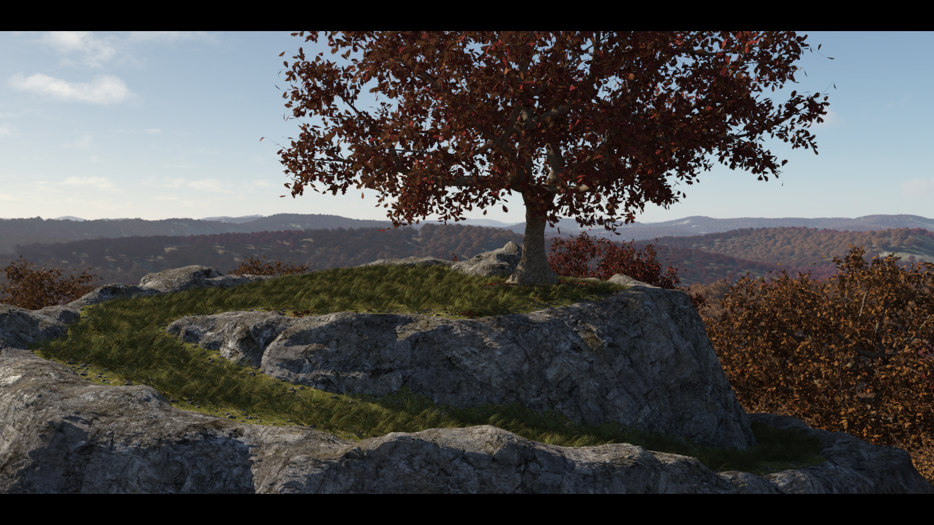 Easy Environments: Autumn Woods | Daz 3D