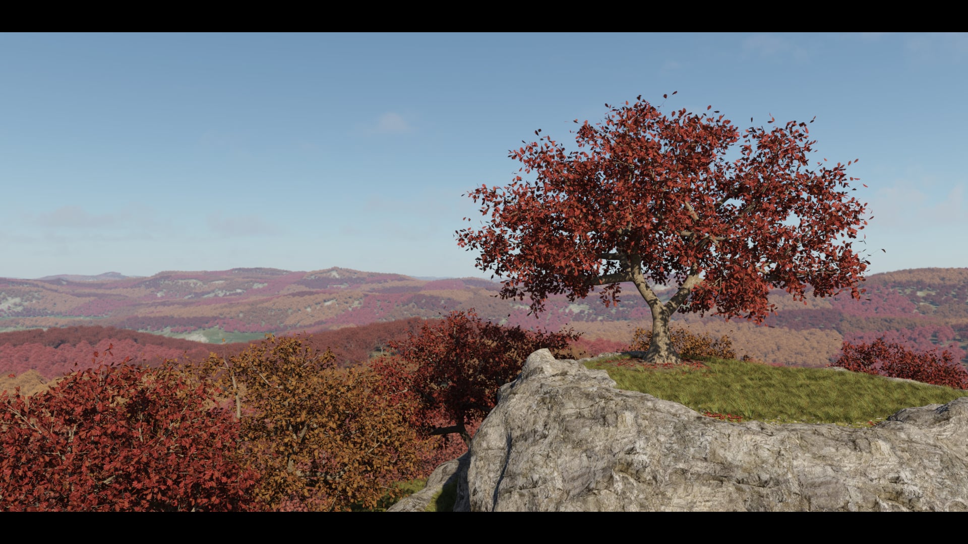 Easy Environments: Autumn Woods | Daz 3D