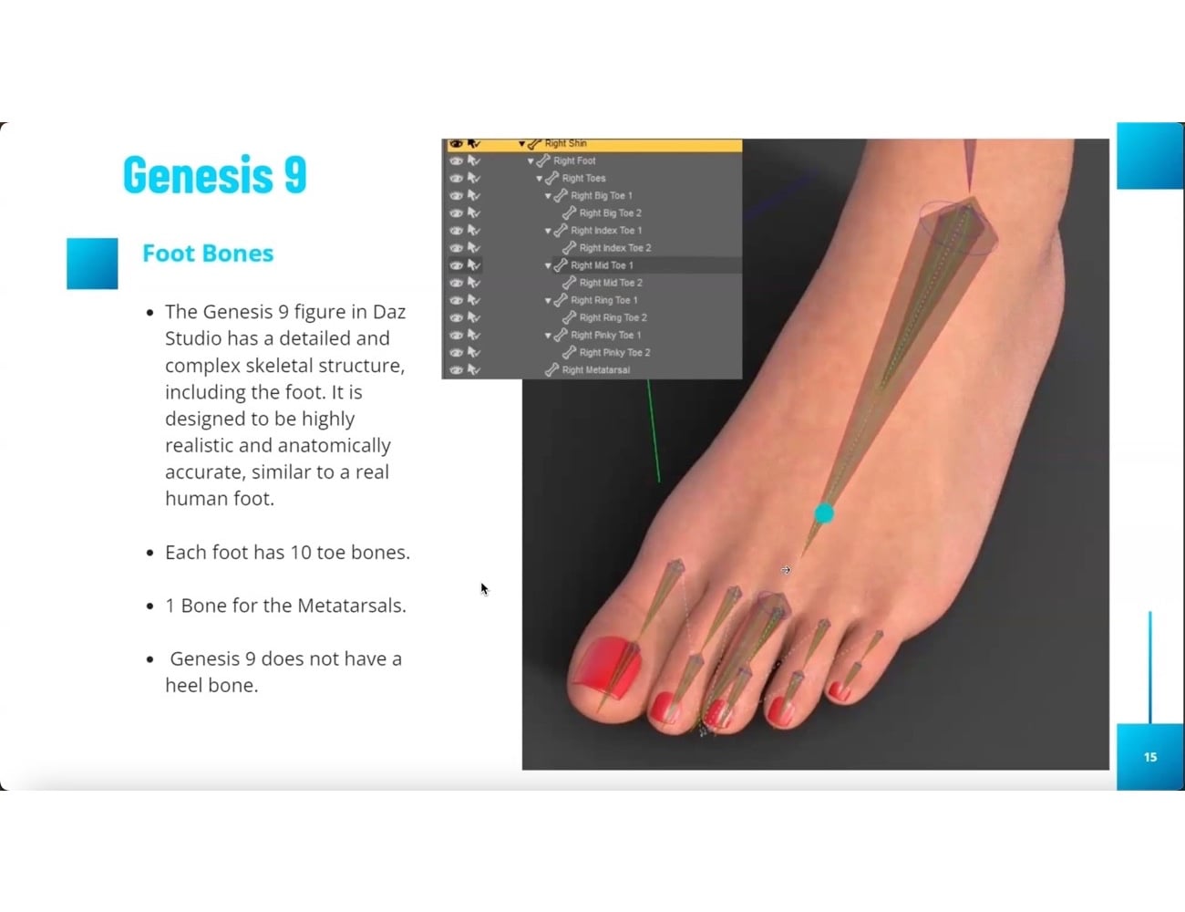 Introduction to Footwear Design & Shoe Rigging for DAZ Studio | Daz 3D