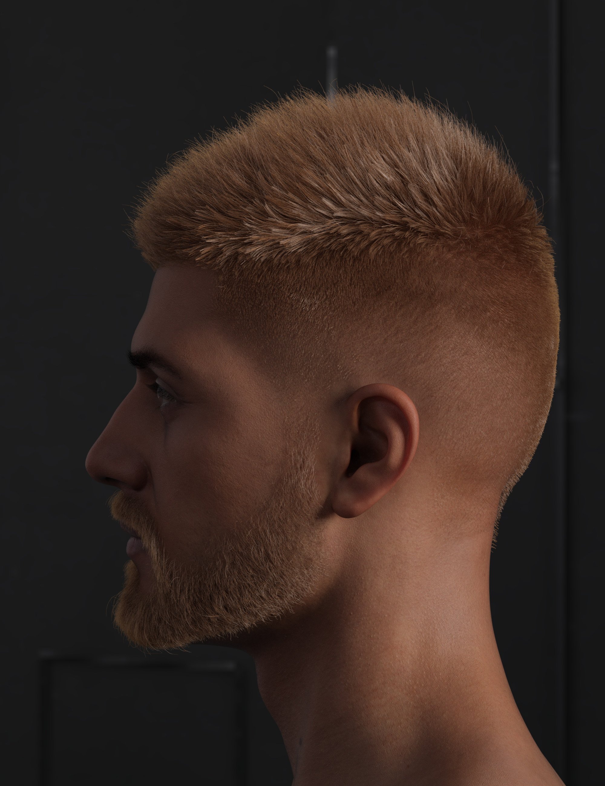 High Fade Brush Cut for Genesis 9 | Daz 3D